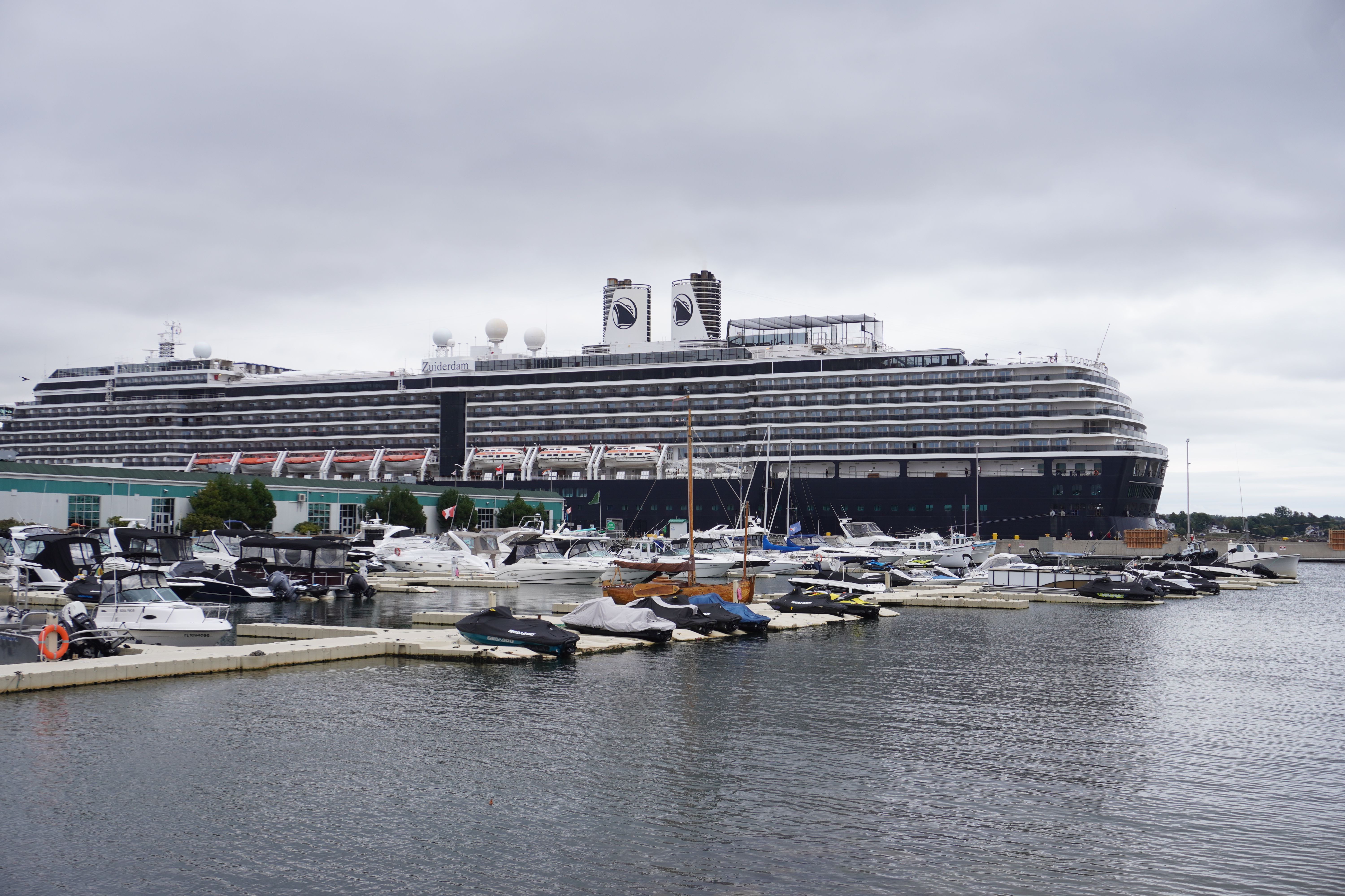 Cruise Ship Docked at a Bustling Marina · Free Stock Photo