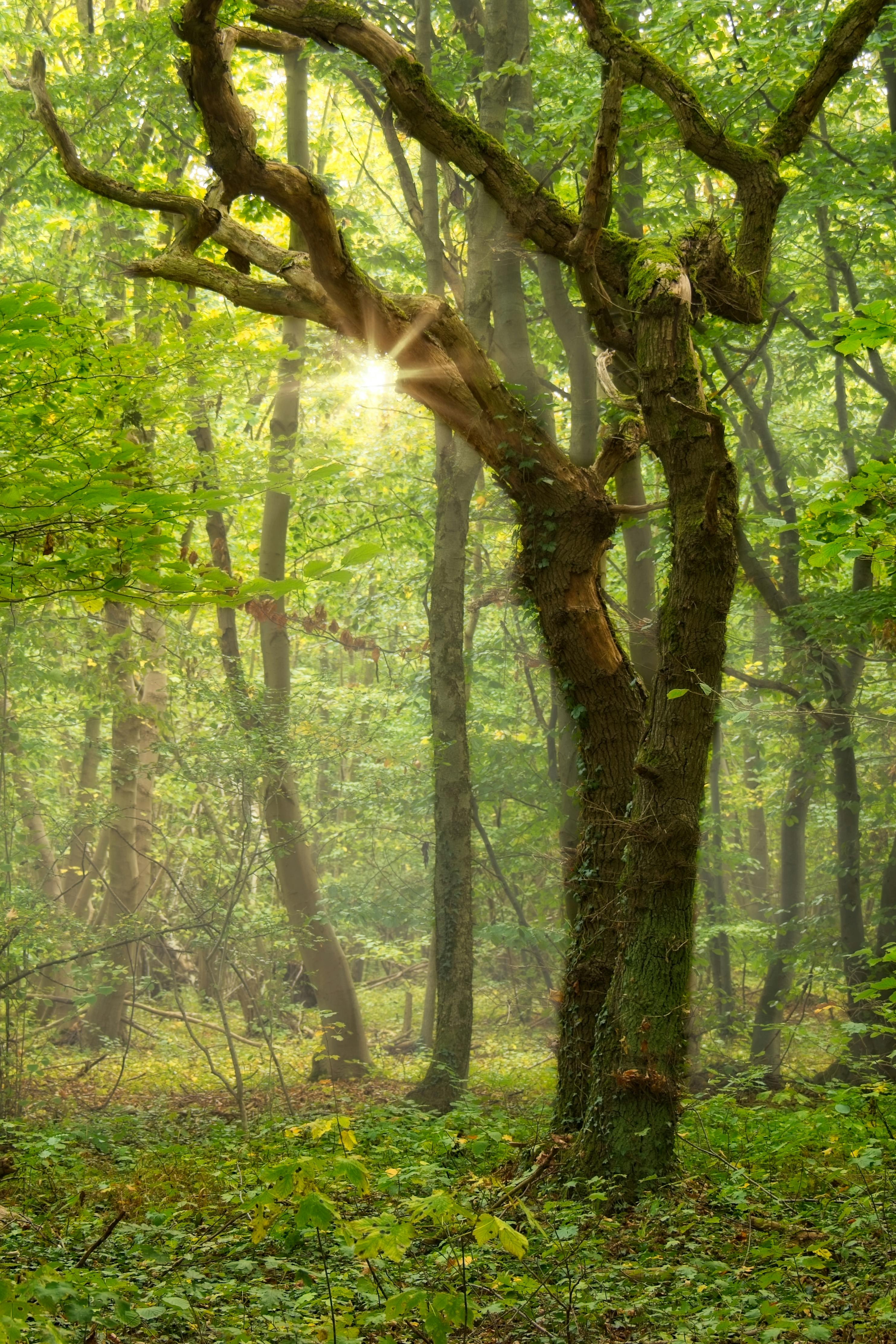 Ambient Texture Photos, Download The BEST Free Ambient Texture Stock ...