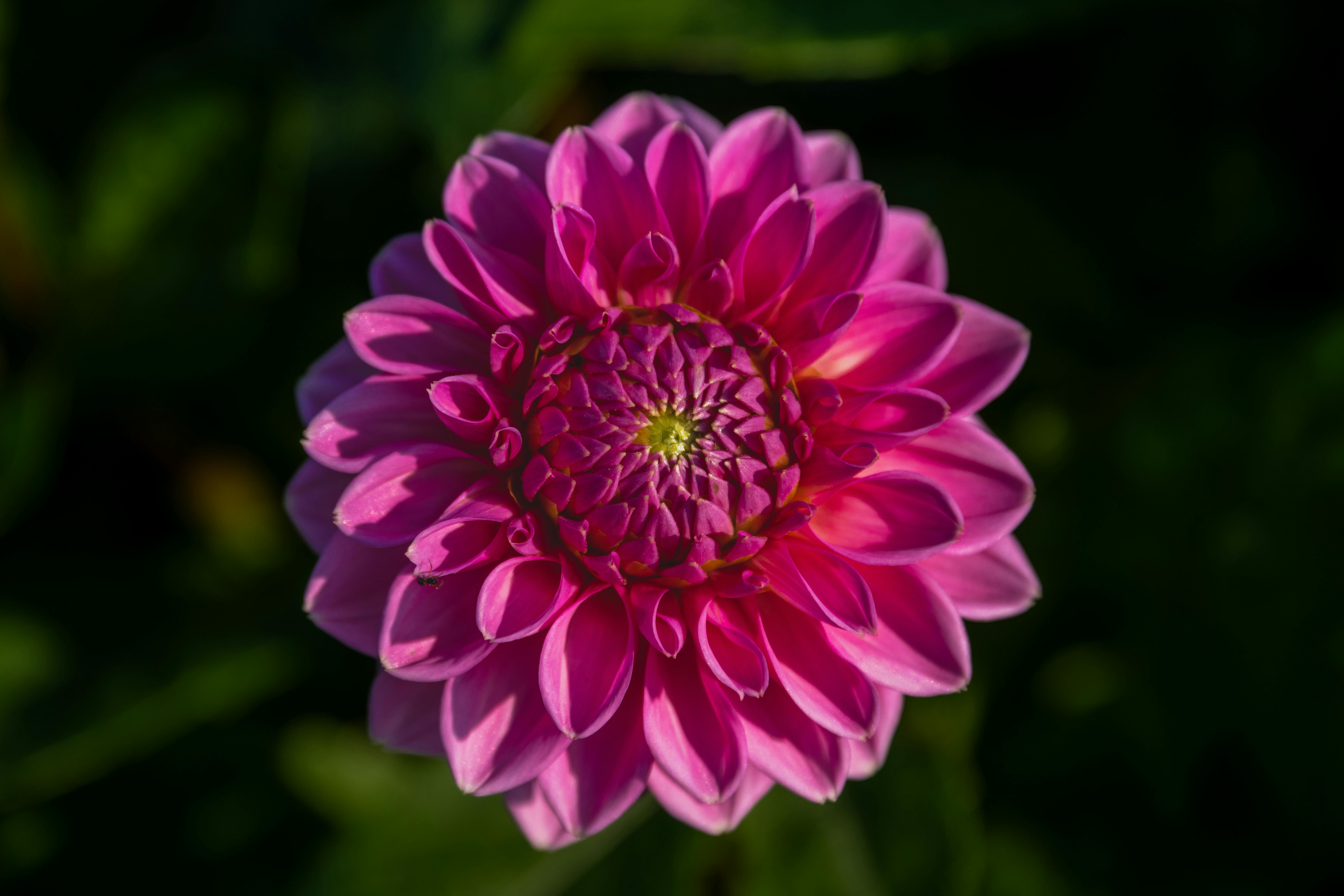 Tenna+Wallpaper+Deltarune Photos, Download The BEST Free Tenna ...