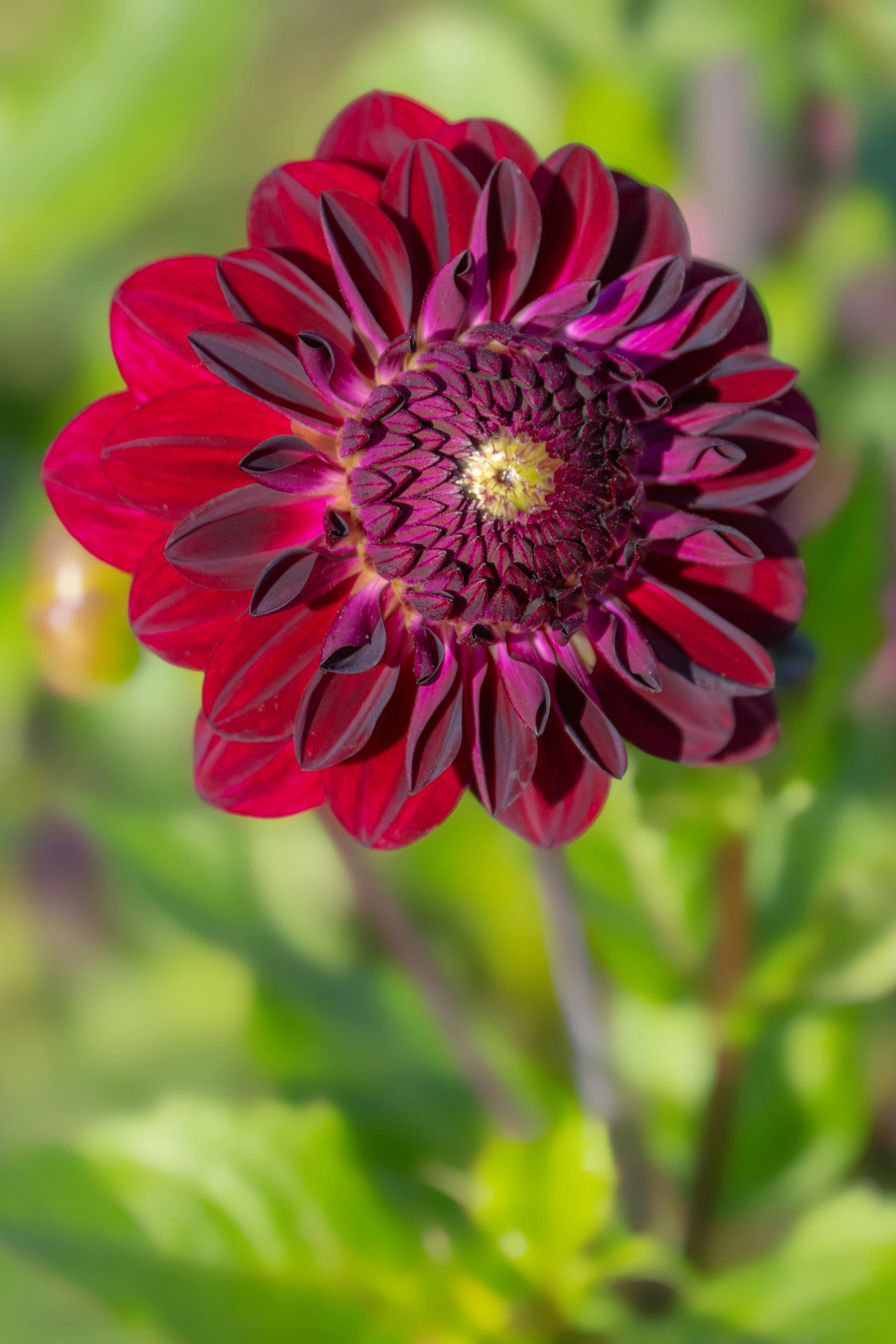 4k Red And Black Desktop Wallpaper Photos, Download The BEST Free 4k ...