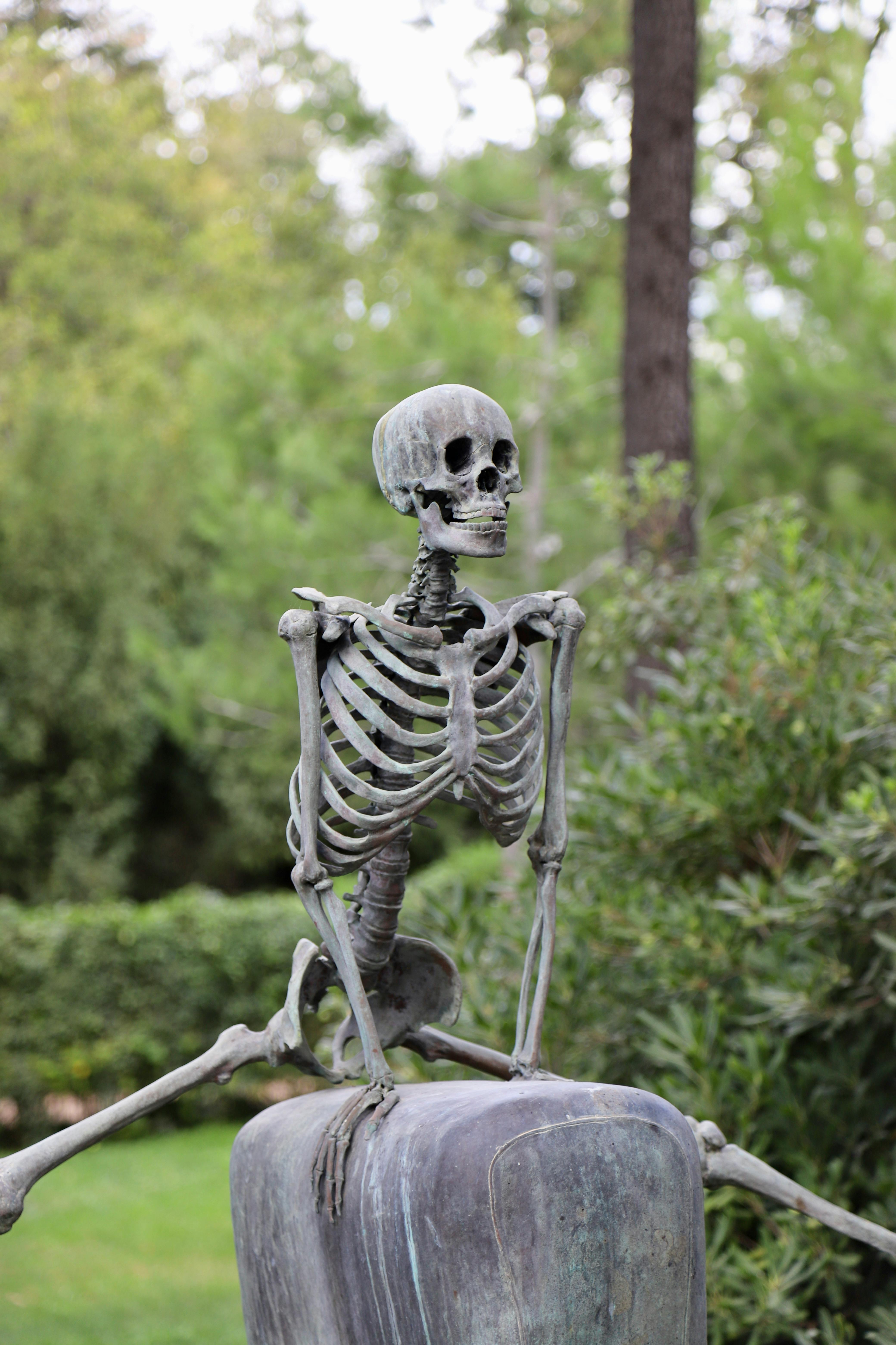 Human Skeleton Photos, Download The BEST Free Human Skeleton Stock ...