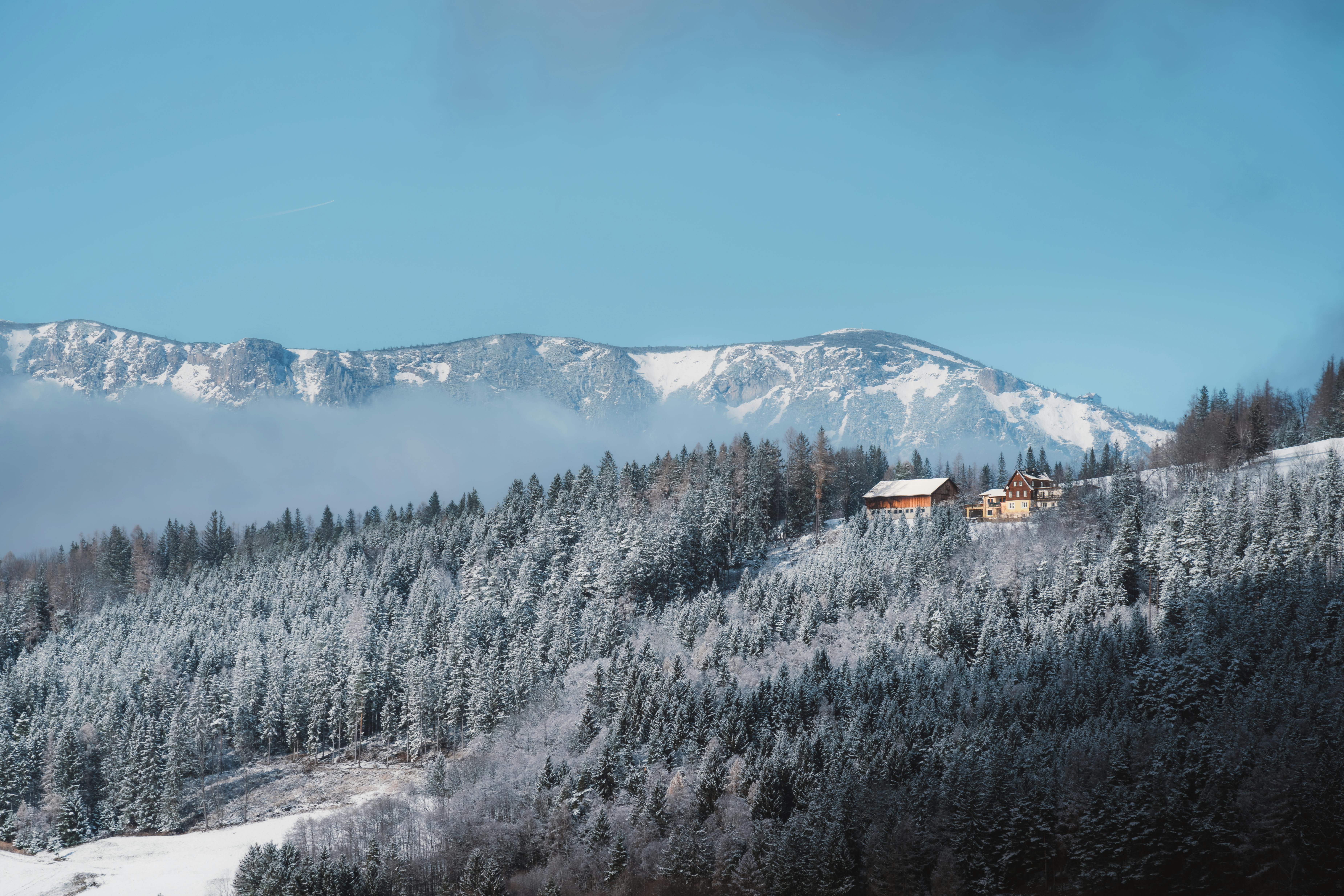 Snowy Landscape Photos, Download The BEST Free Snowy Landscape Stock ...