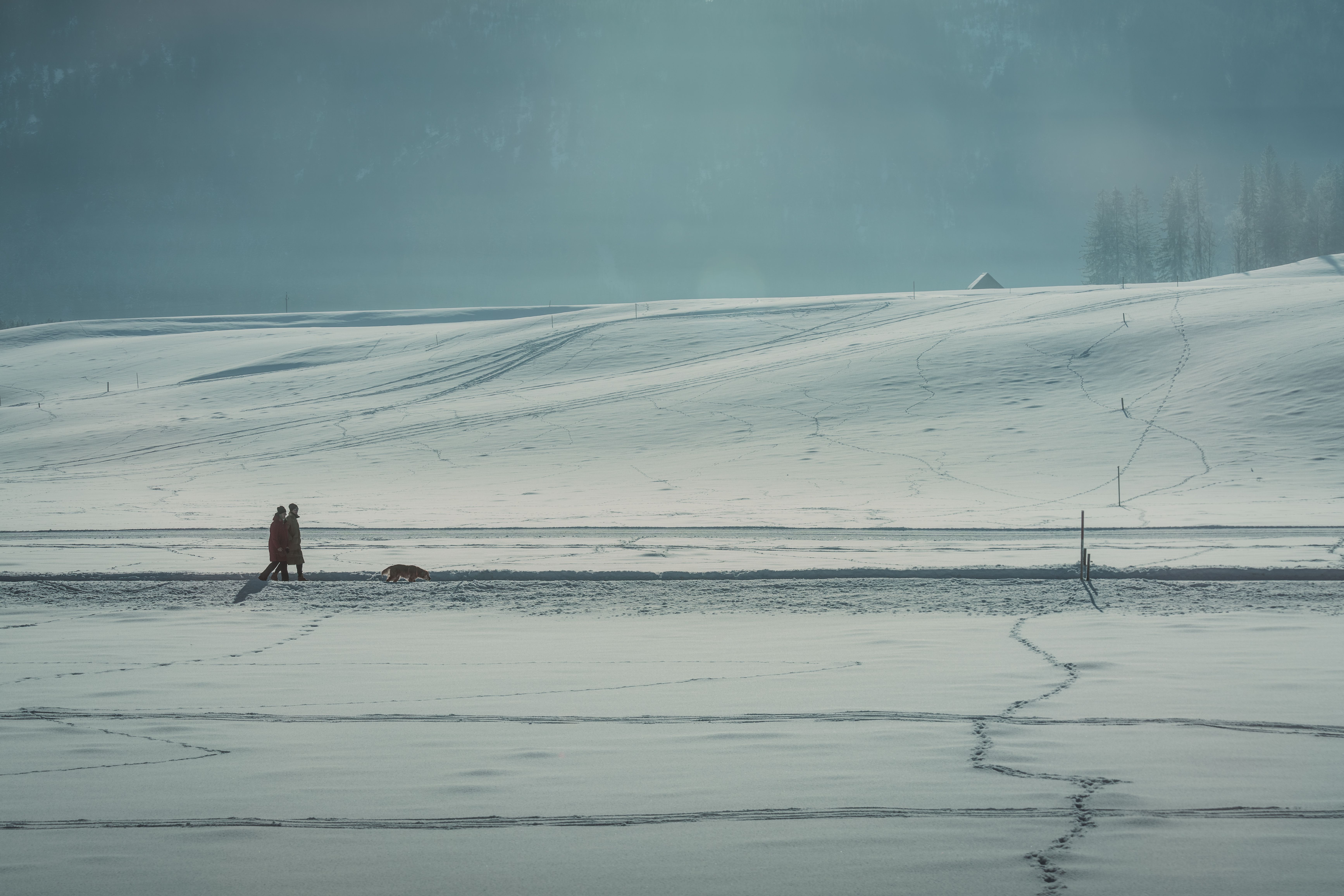 Unsplash Images Photos, Download The BEST Free Unsplash Images Stock ...