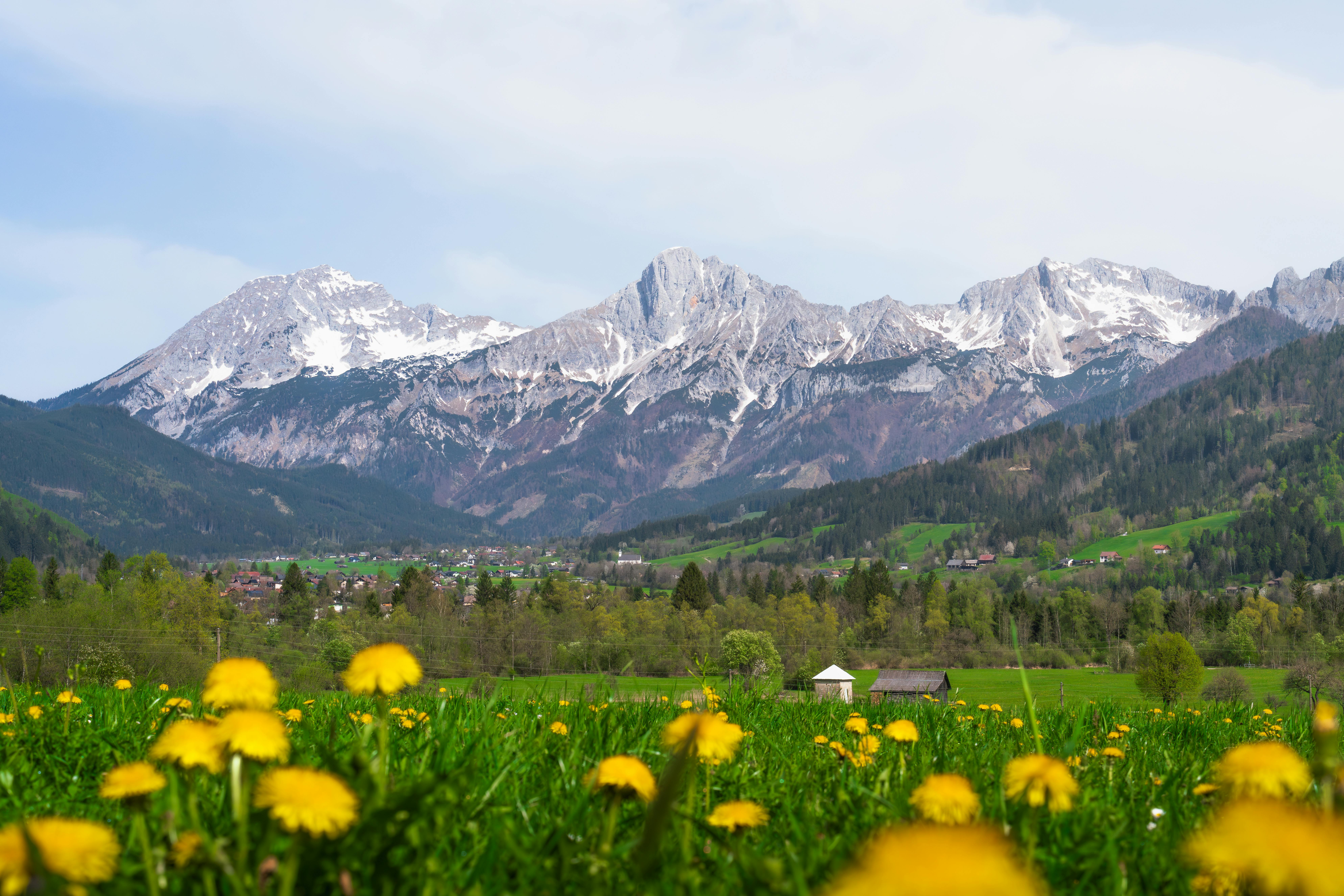 Desktop Wallpaper 4k Developer Photos, Download The BEST Free Desktop ...