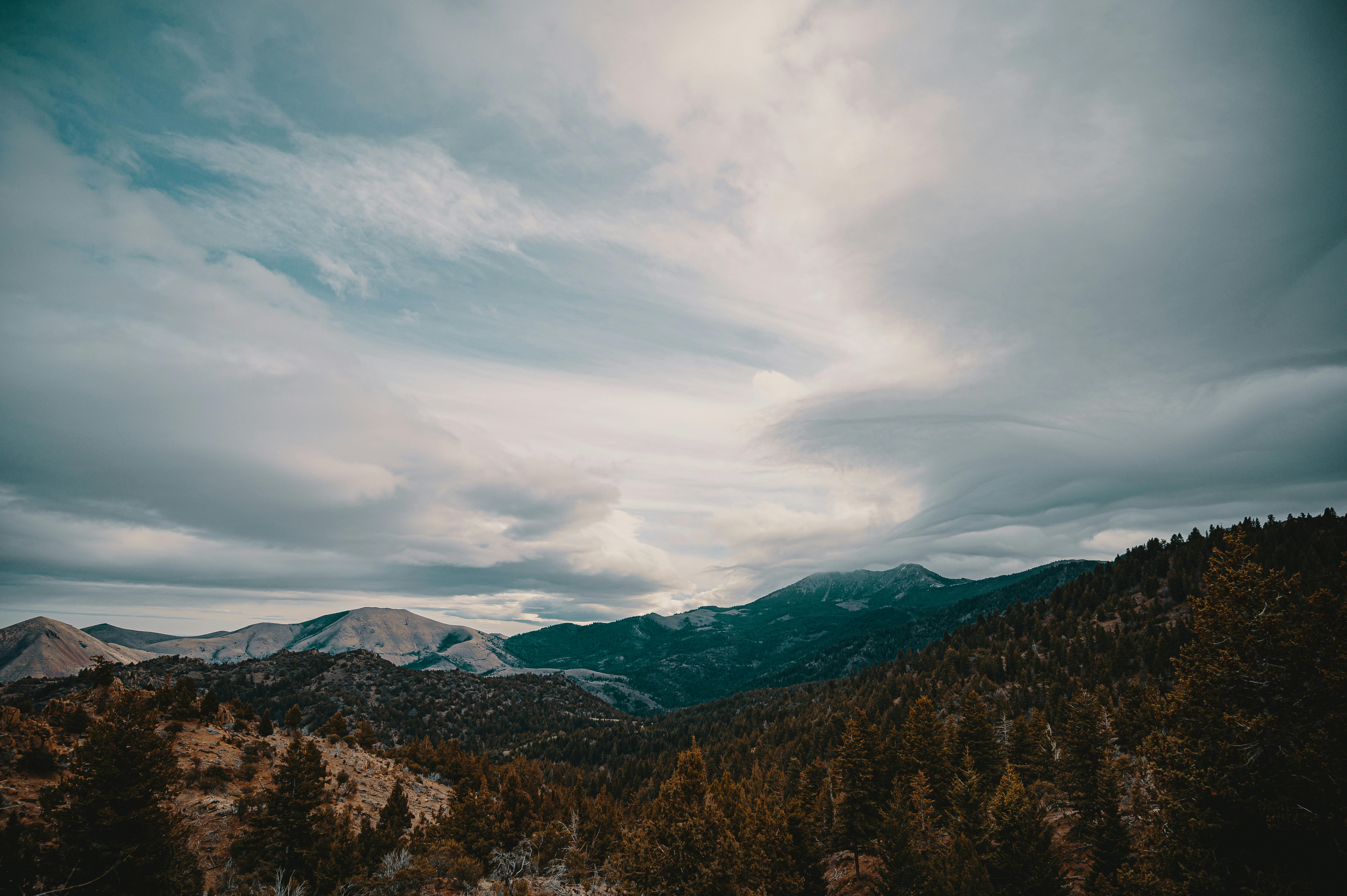 Gray Cliff · Free Stock Photo