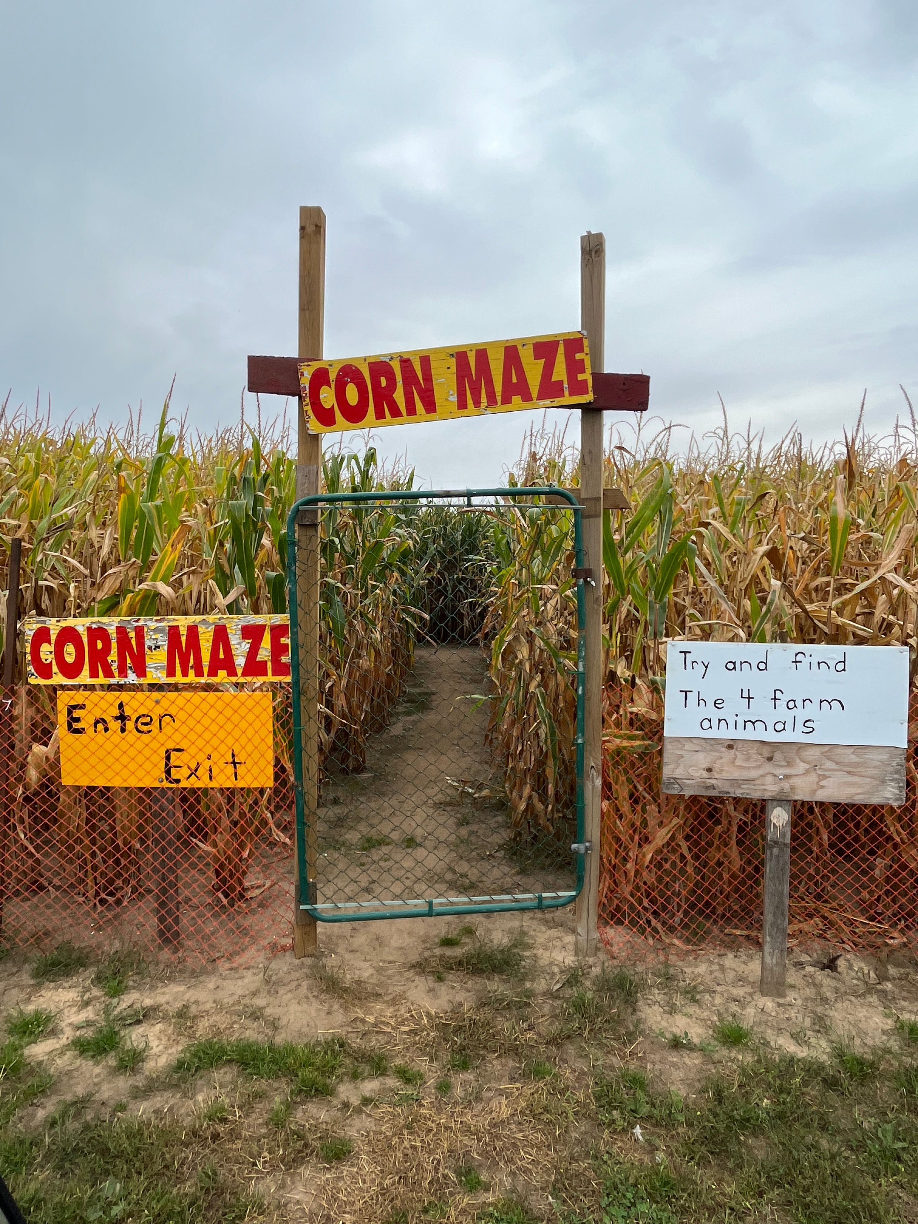 Maze+Bank+Ydr+Download Photos, Download The BEST Free Maze+Bank+Ydr ...