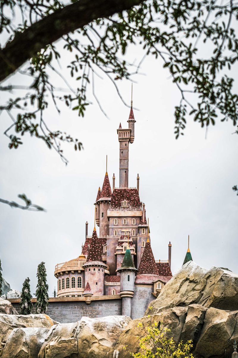 Disney Castle Photos, Download The BEST Free Disney Castle Stock Photos ...