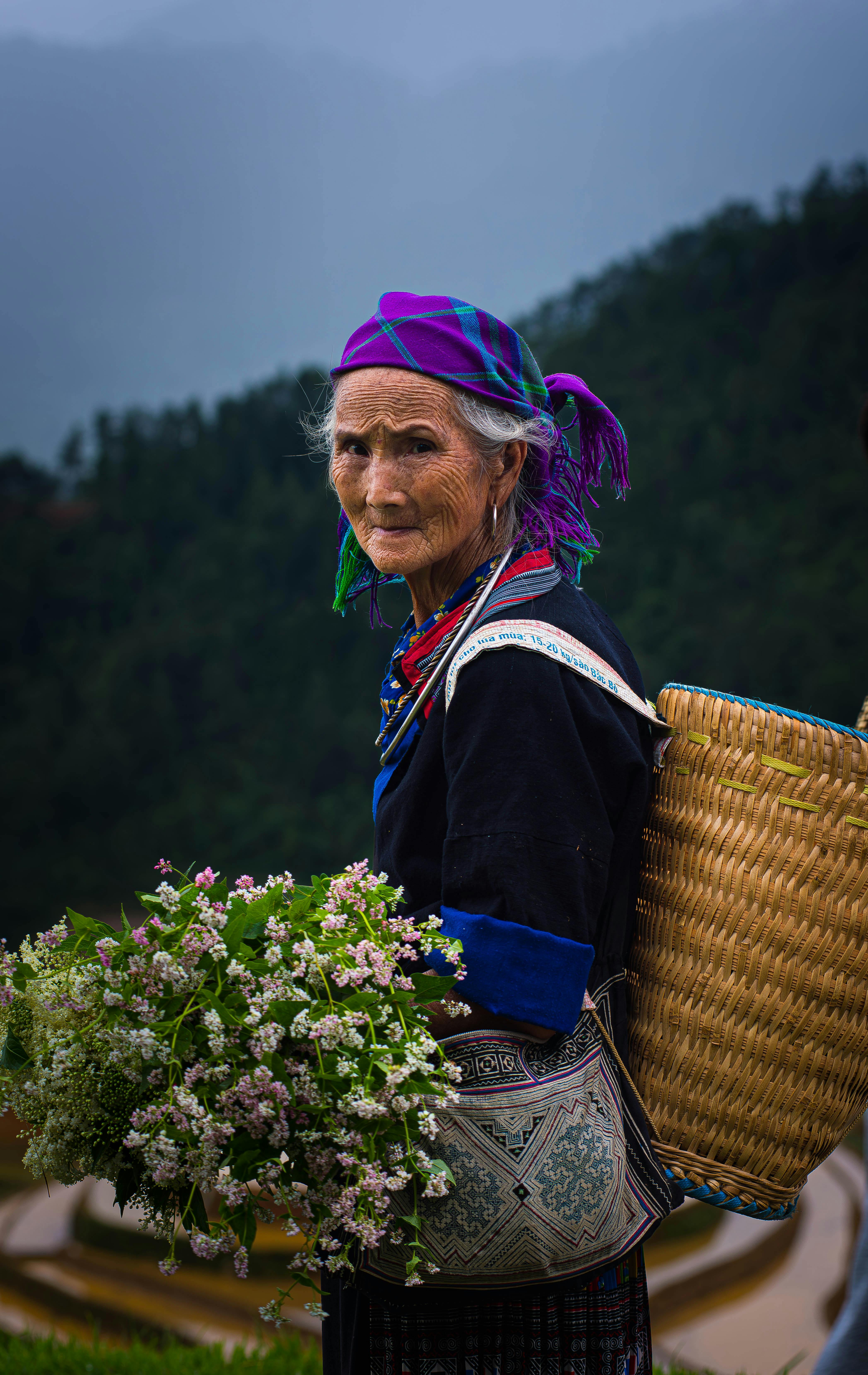 Pirinç Tarlalarındaki Hmong Kadını, Yên Bái · Ücretsiz Stok Fotoğraf