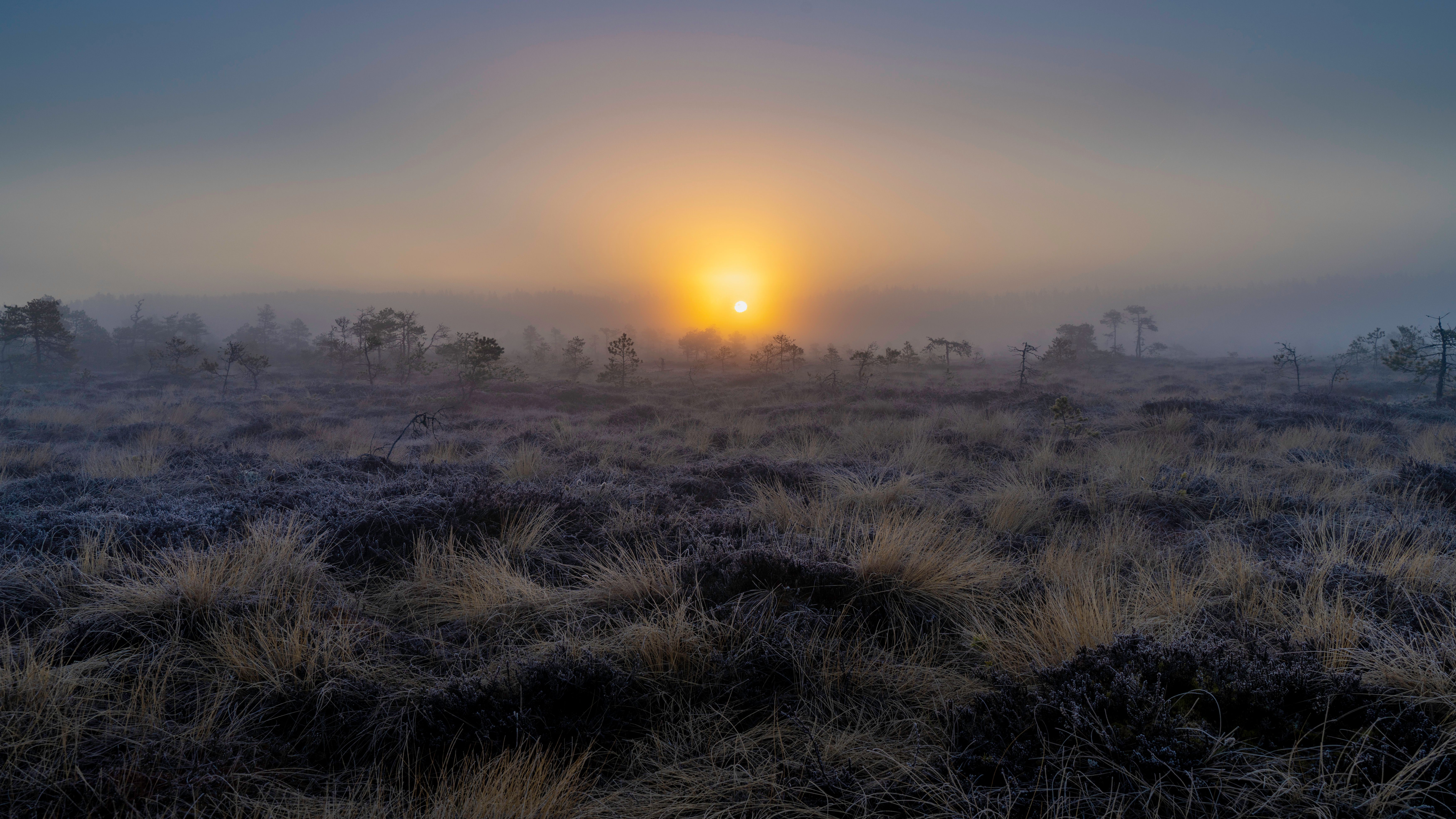 Misty Sunrise Over Frosty Moorland Landscape · Free Stock Photo