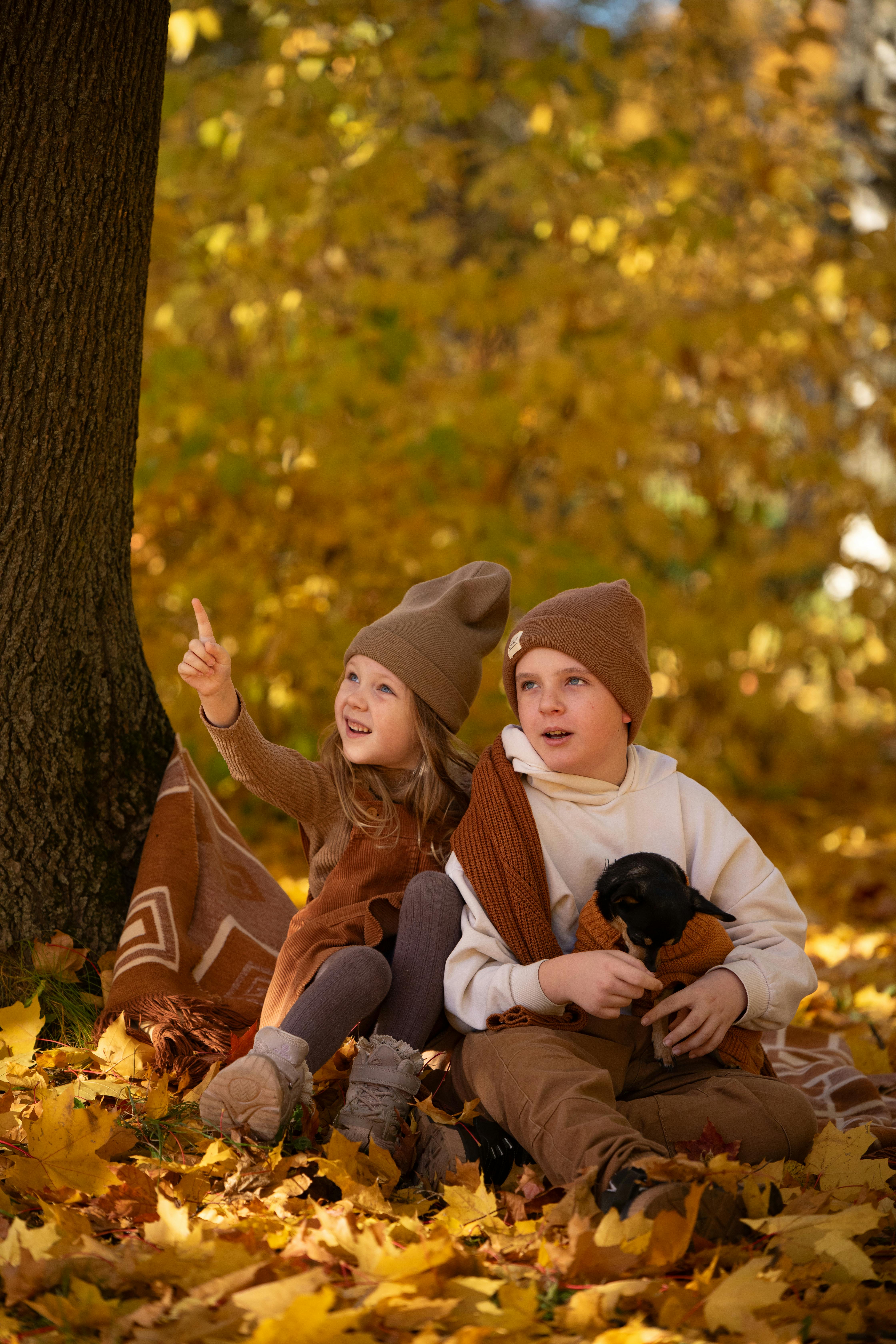 100,000+ Best Tree Images · 100% Free Download · Pexels Stock Photos