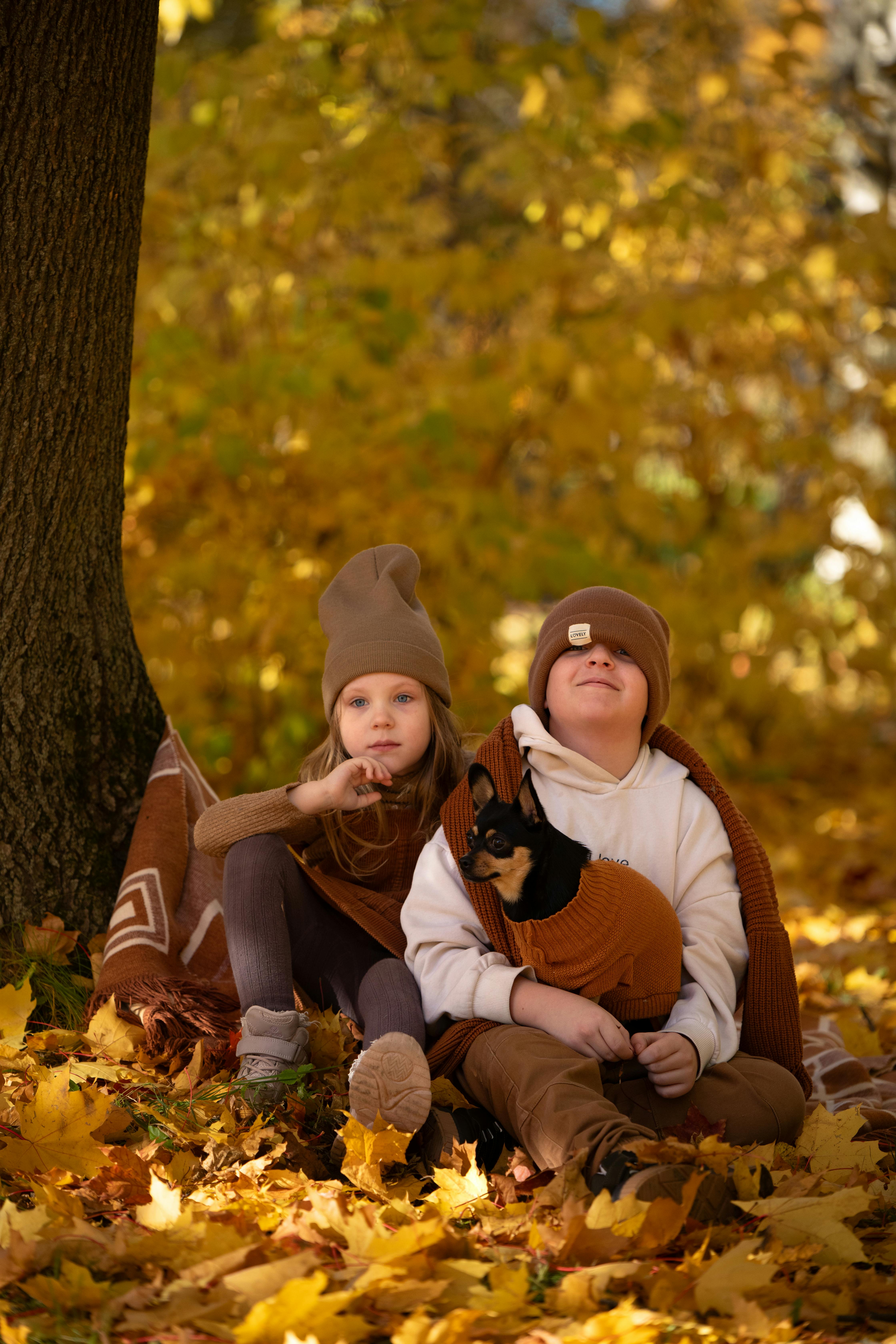 100,000+ Best Tree Images · 100% Free Download · Pexels Stock Photos