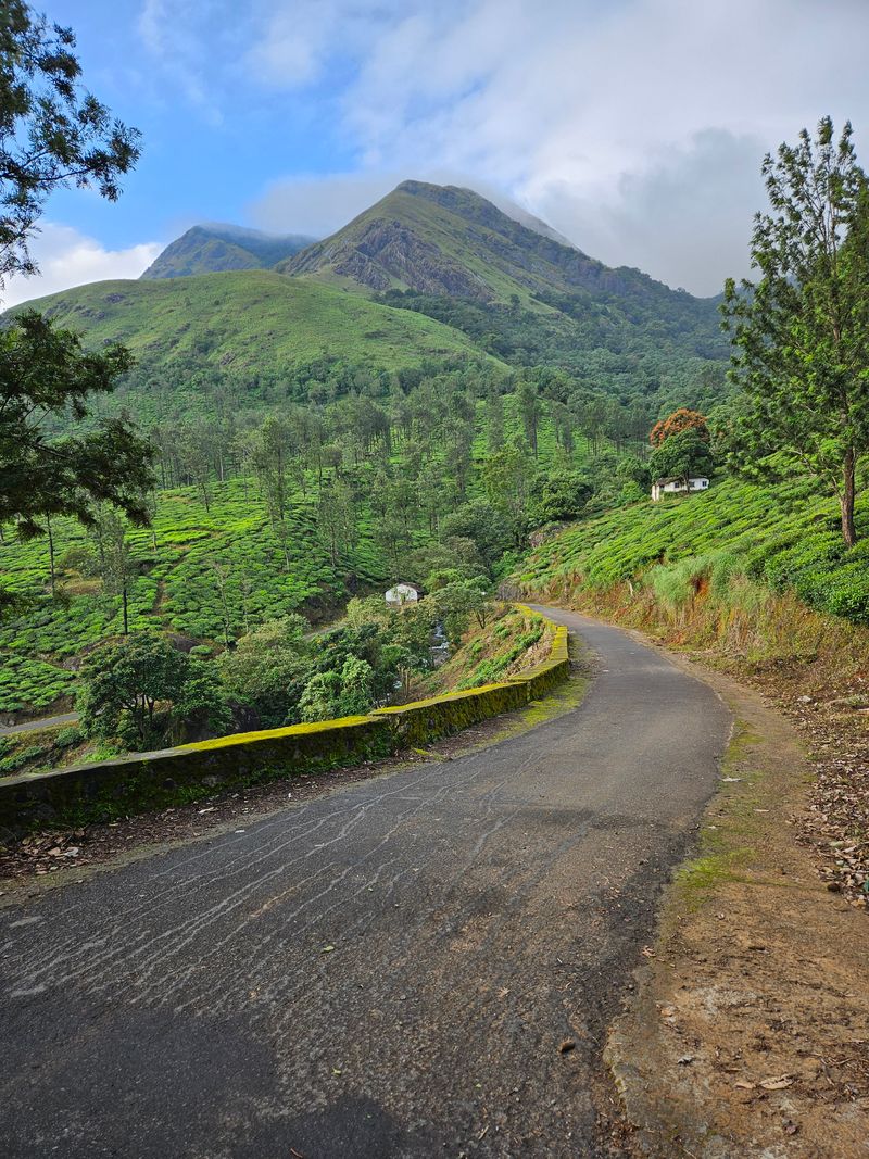 Wayanad Photos, Download The BEST Free Wayanad Stock Photos & HD Images