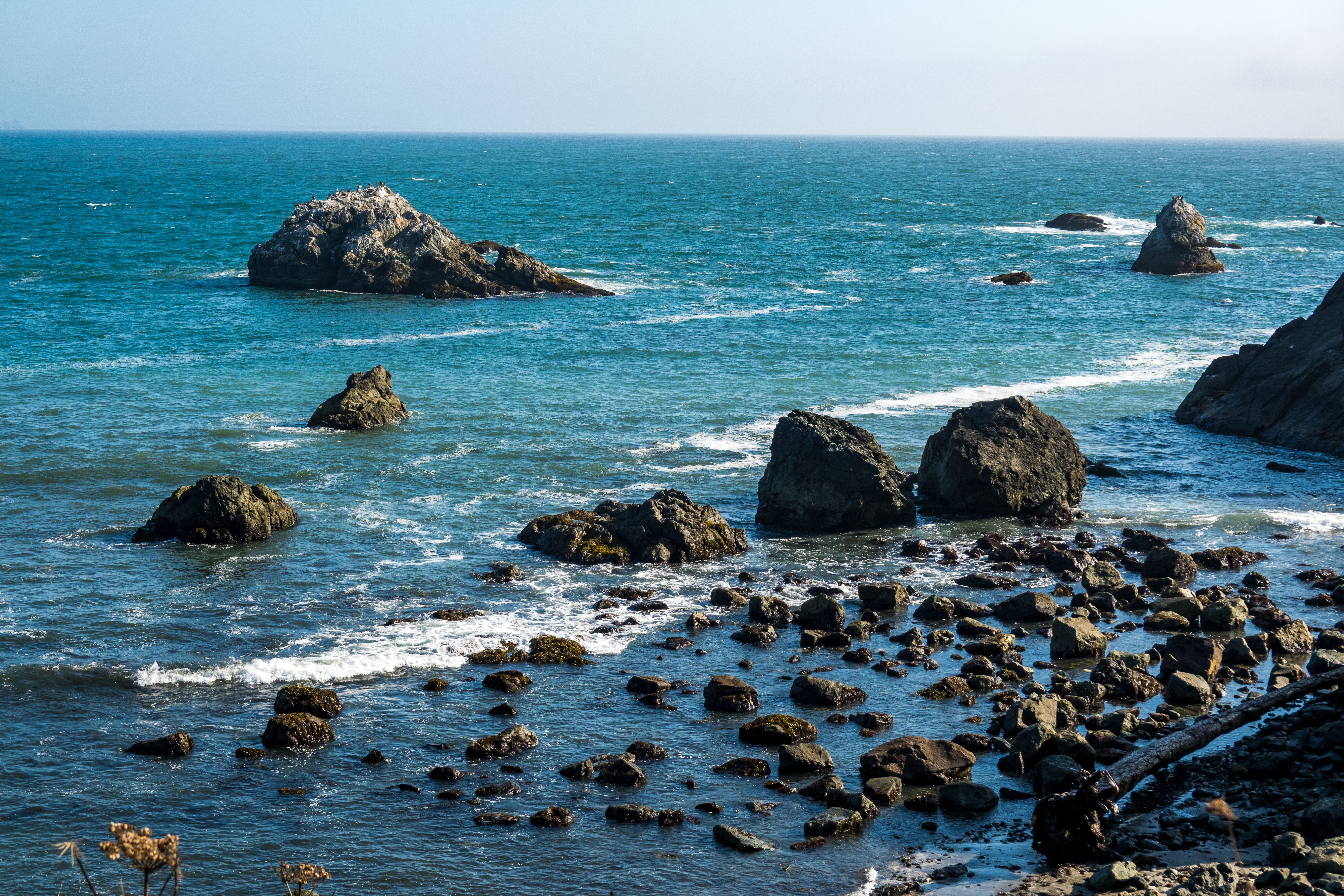 Seastack Photos, Download The BEST Free Seastack Stock Photos & HD Images