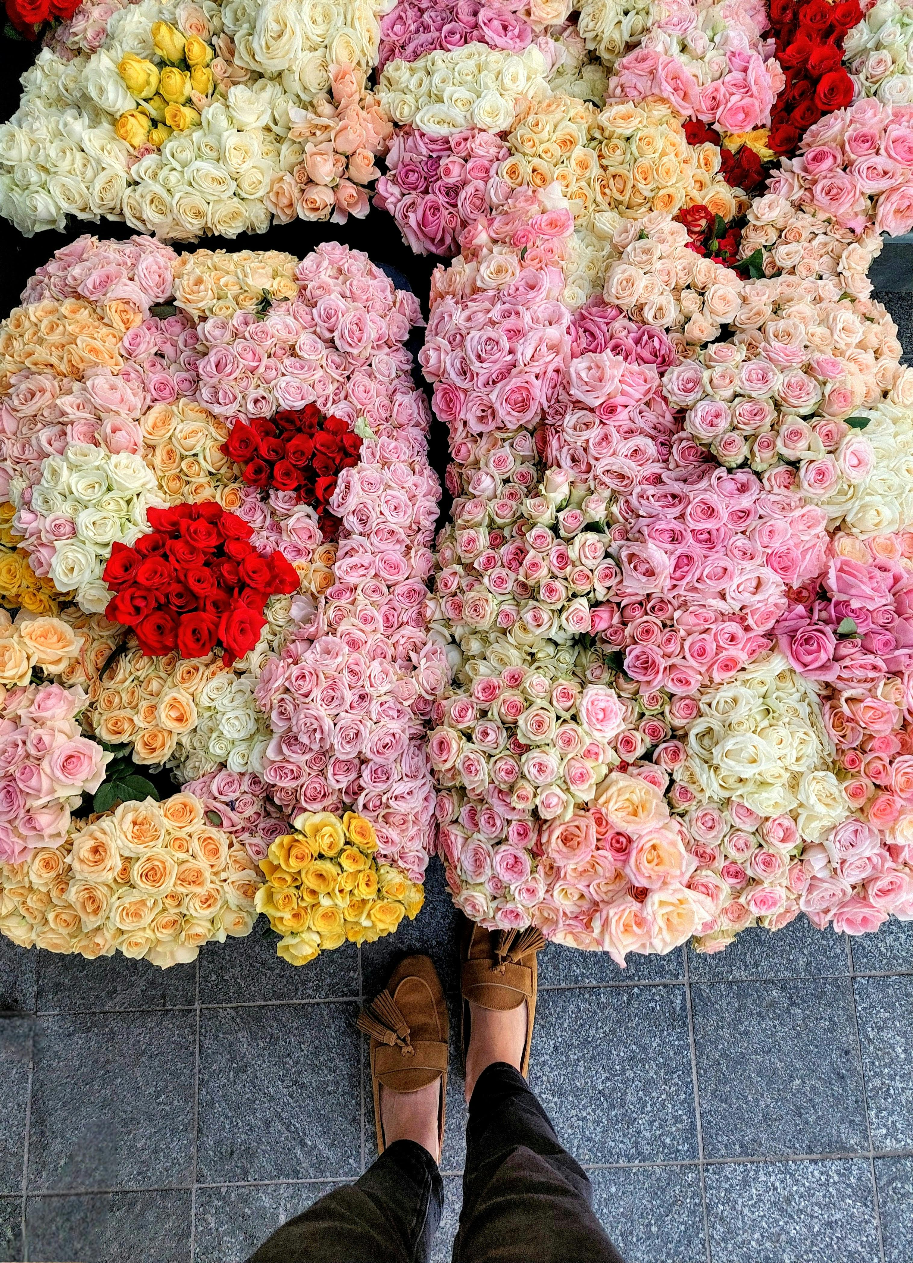 Nature Closeups Photos, Download The BEST Free Nature Closeups Stock Photos & HD Images