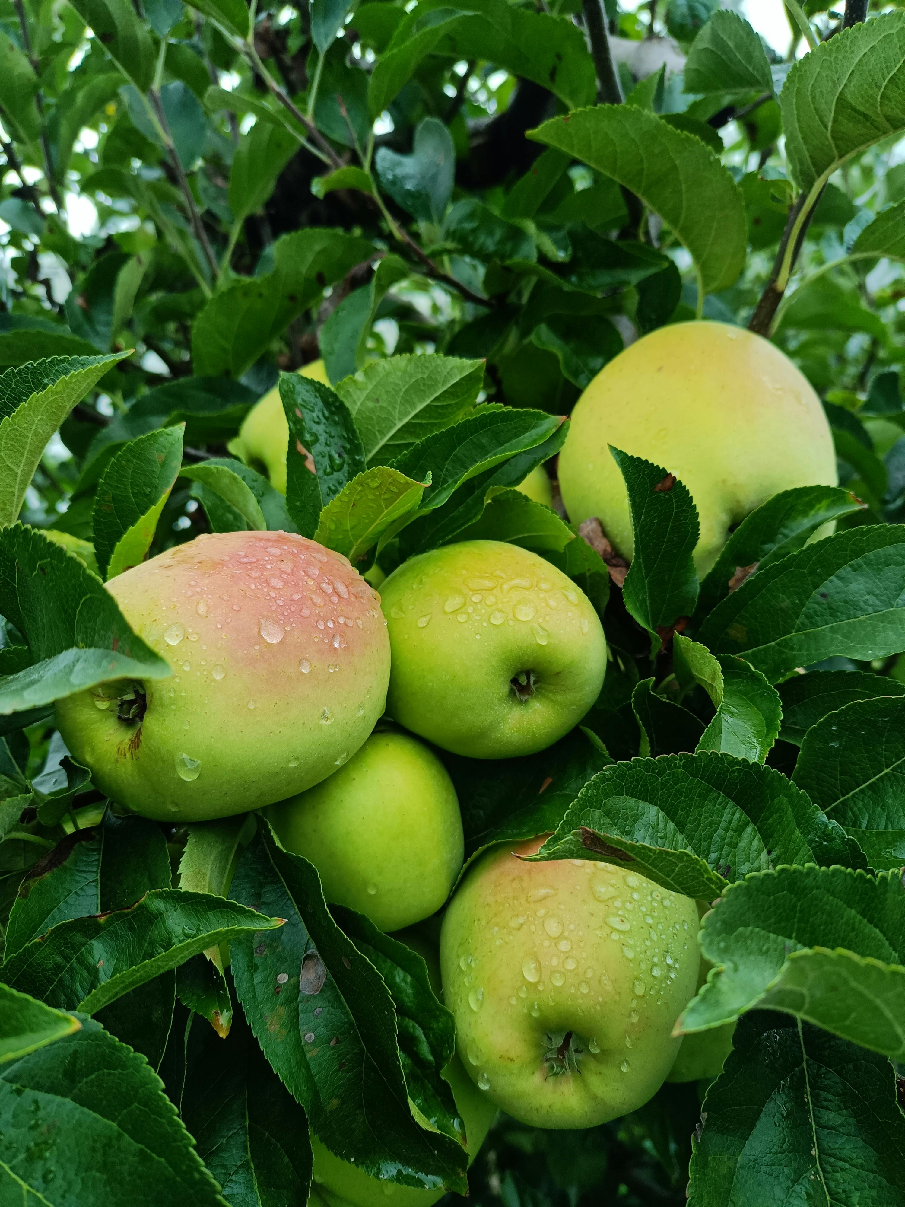 10.000+ Dshtpfm+ajy+c+ajnj Bilder und Fotos · Kostenlos Downloaden ...