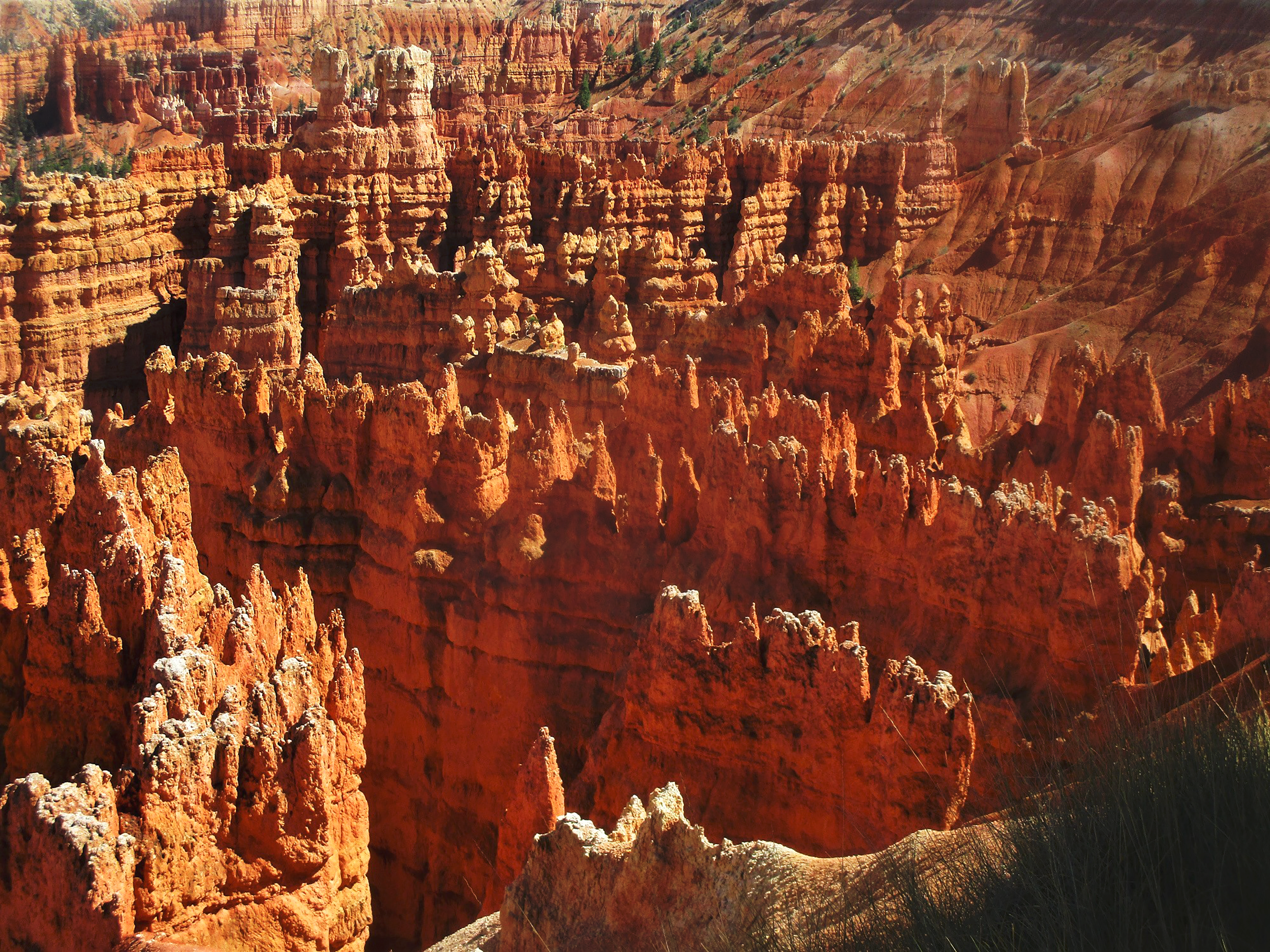 Stunning View of Bryce Canyon's Hoodoos · Free Stock Photo