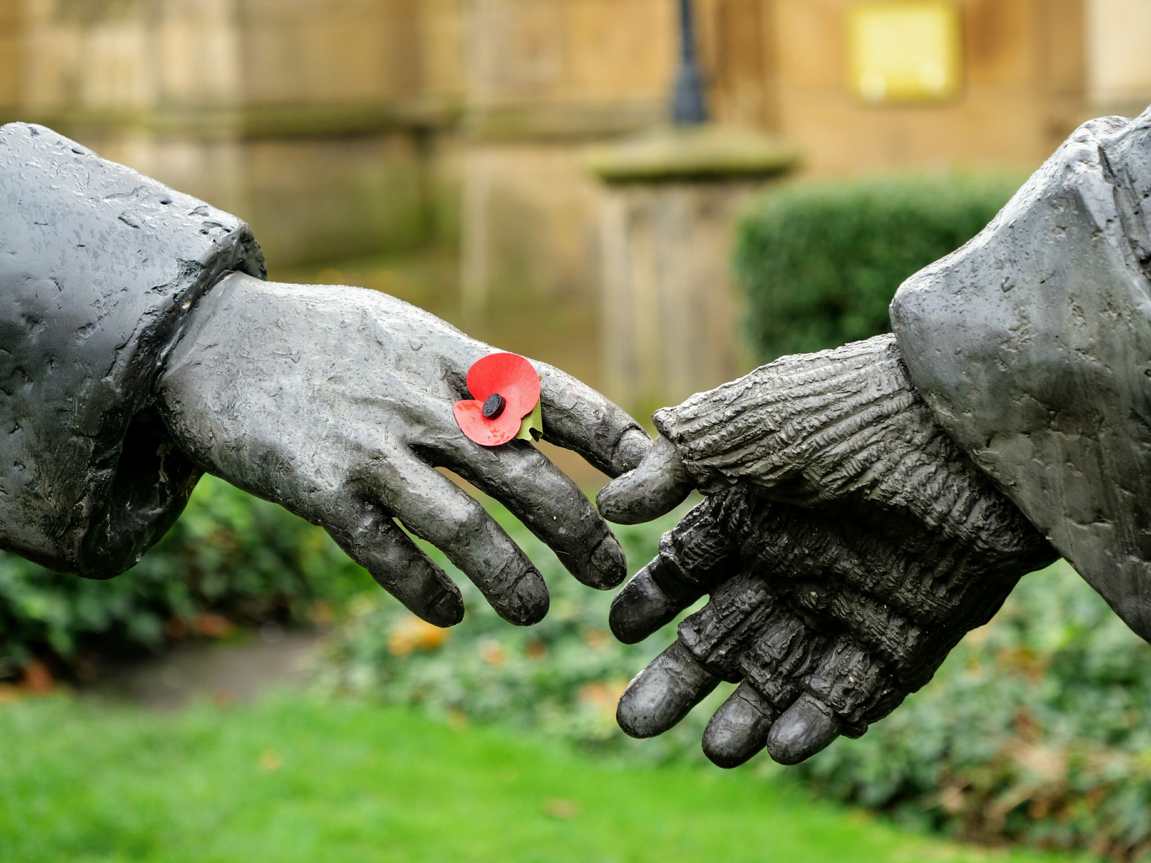 Statue Hands with Poppy Flower in Liverpool · Free Stock Photo