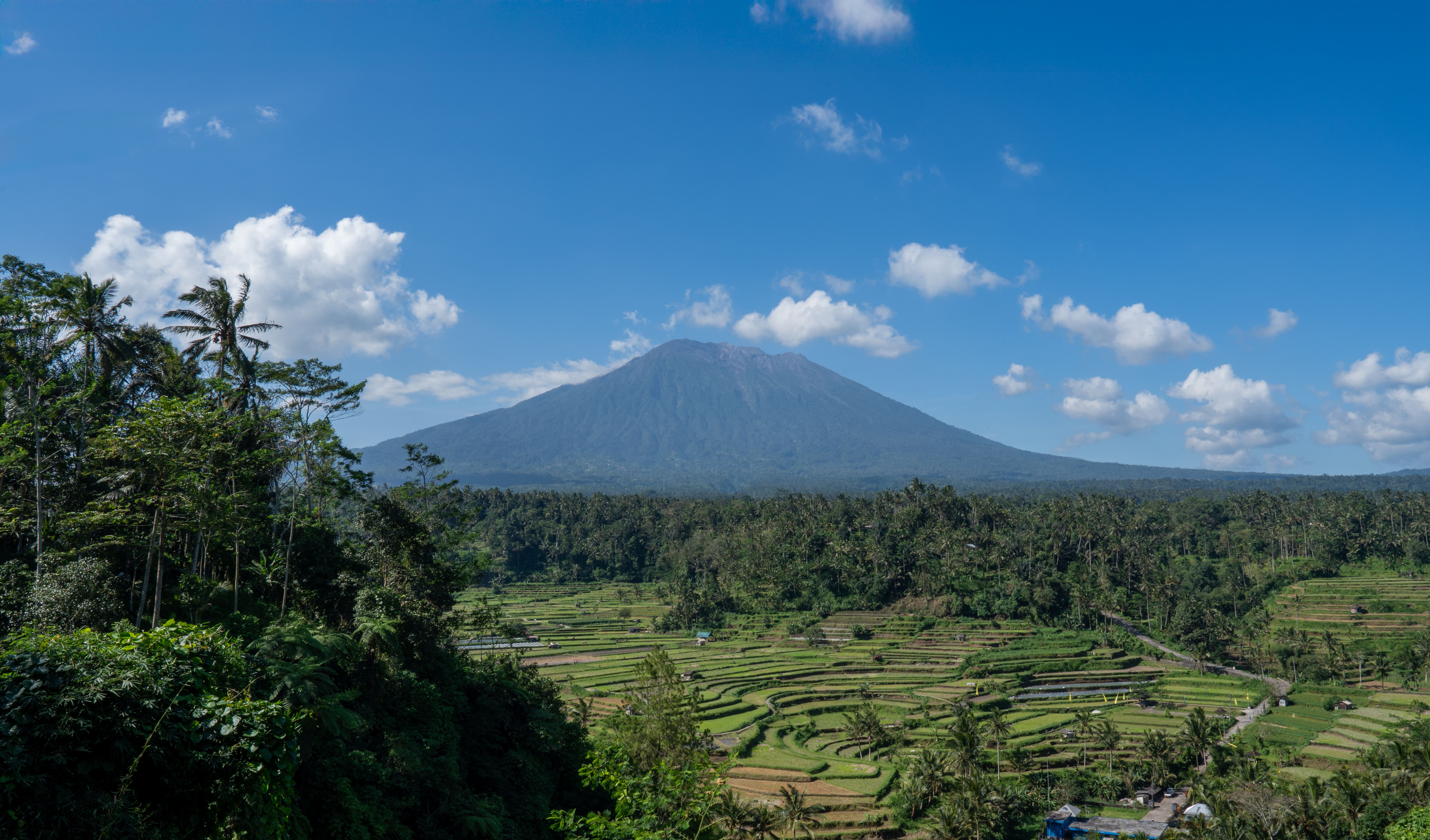 Scenic View of Rice Terraces and Mount Agung in Bali · Free Stock Photo