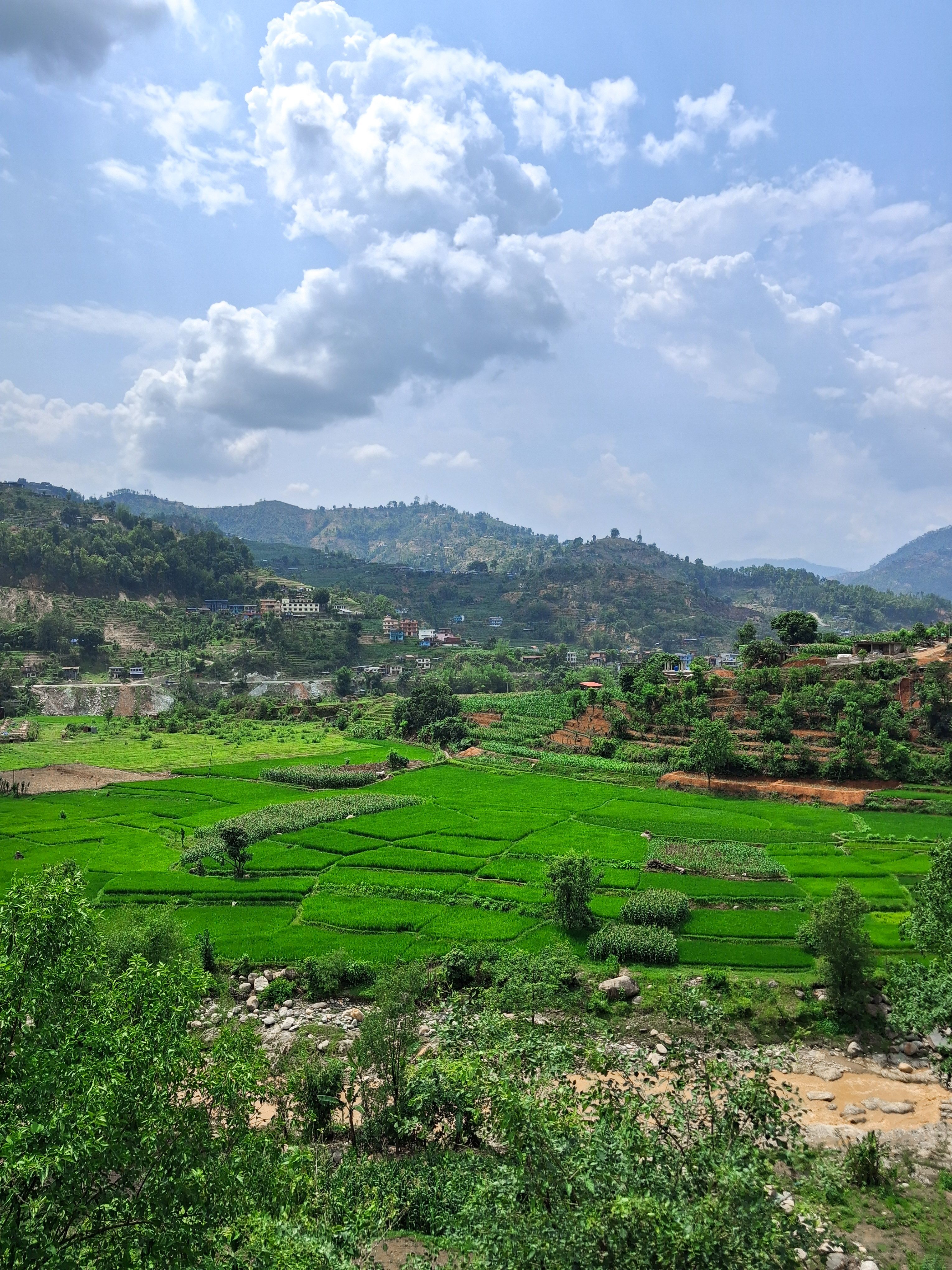 Lush Green Terraced Fields with Mountains · Free Stock Photo