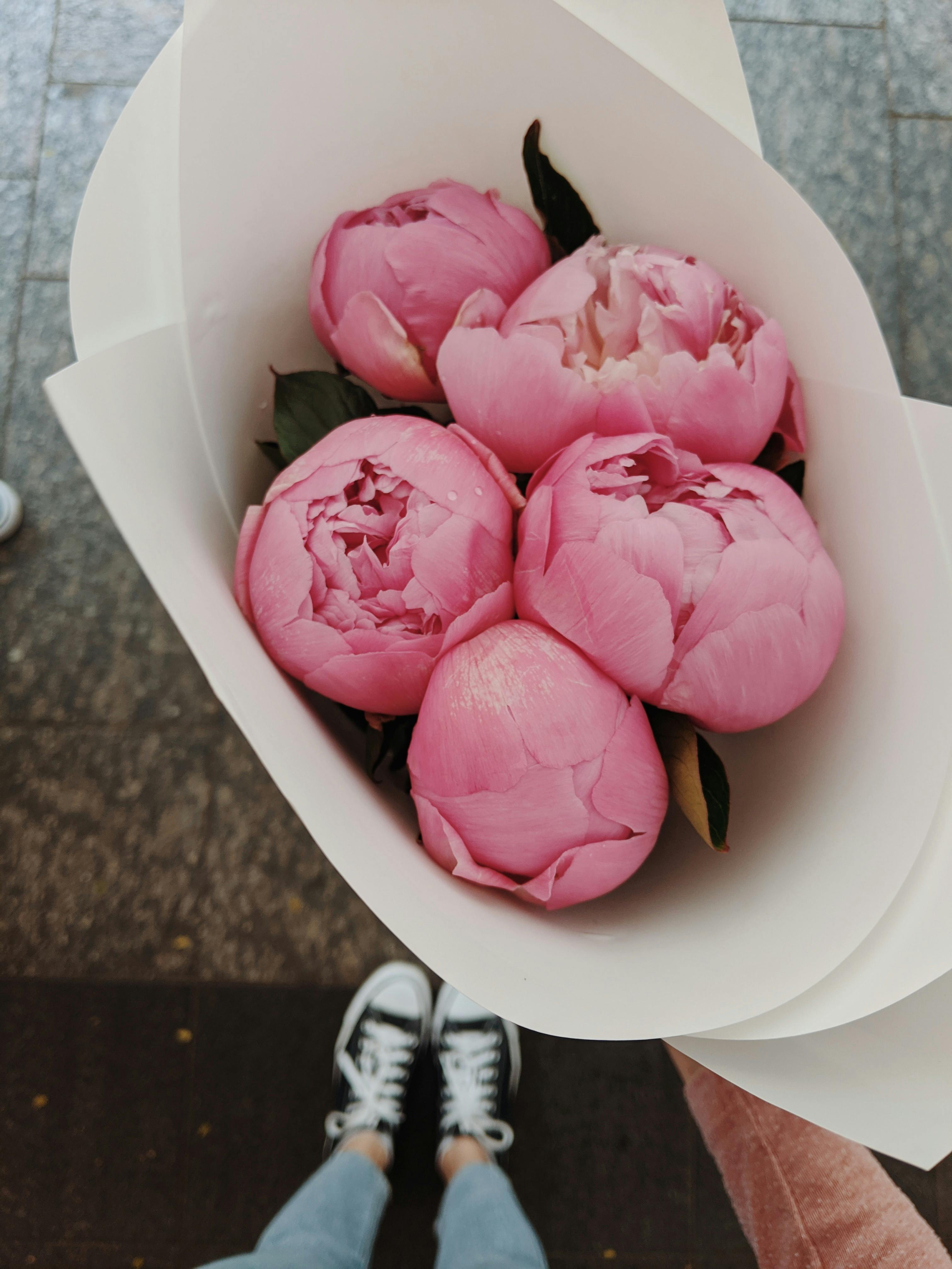 Four Pink Rose Flower Bouquet · Free Stock Photo