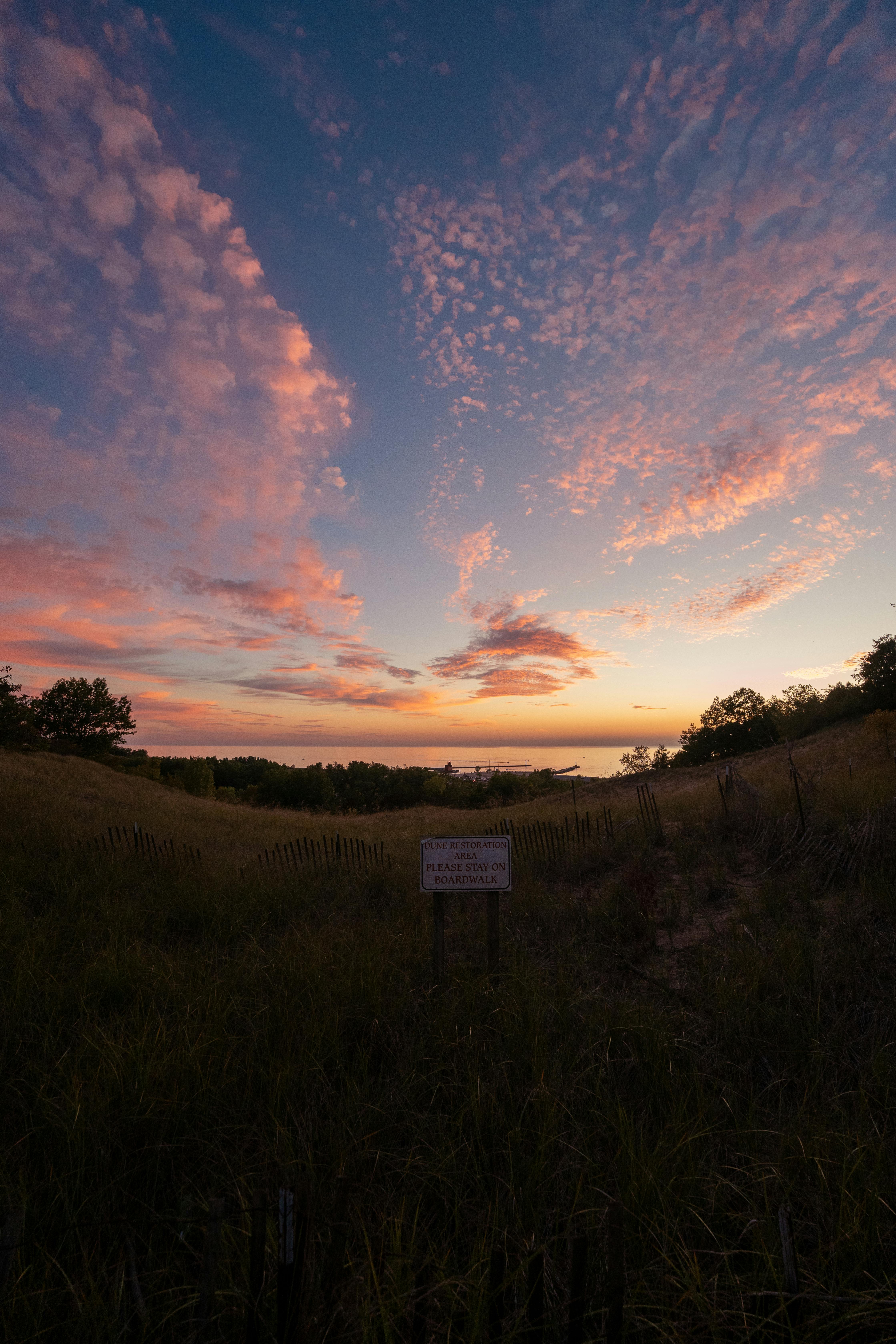 June Photos, Download The BEST Free June Stock Photos & HD Images