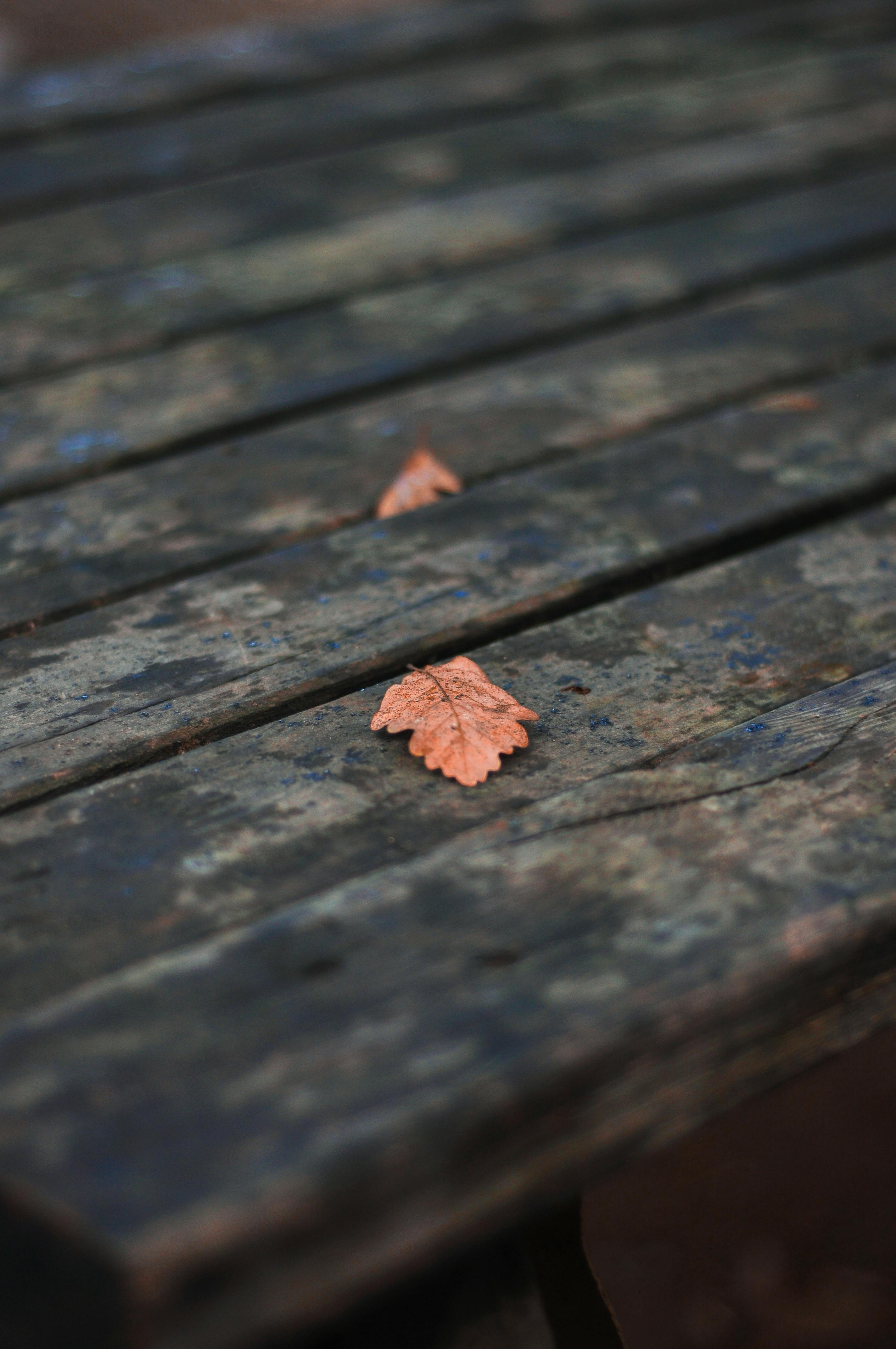 Simple Background For Ppt Photos, Download The BEST Free Simple ...