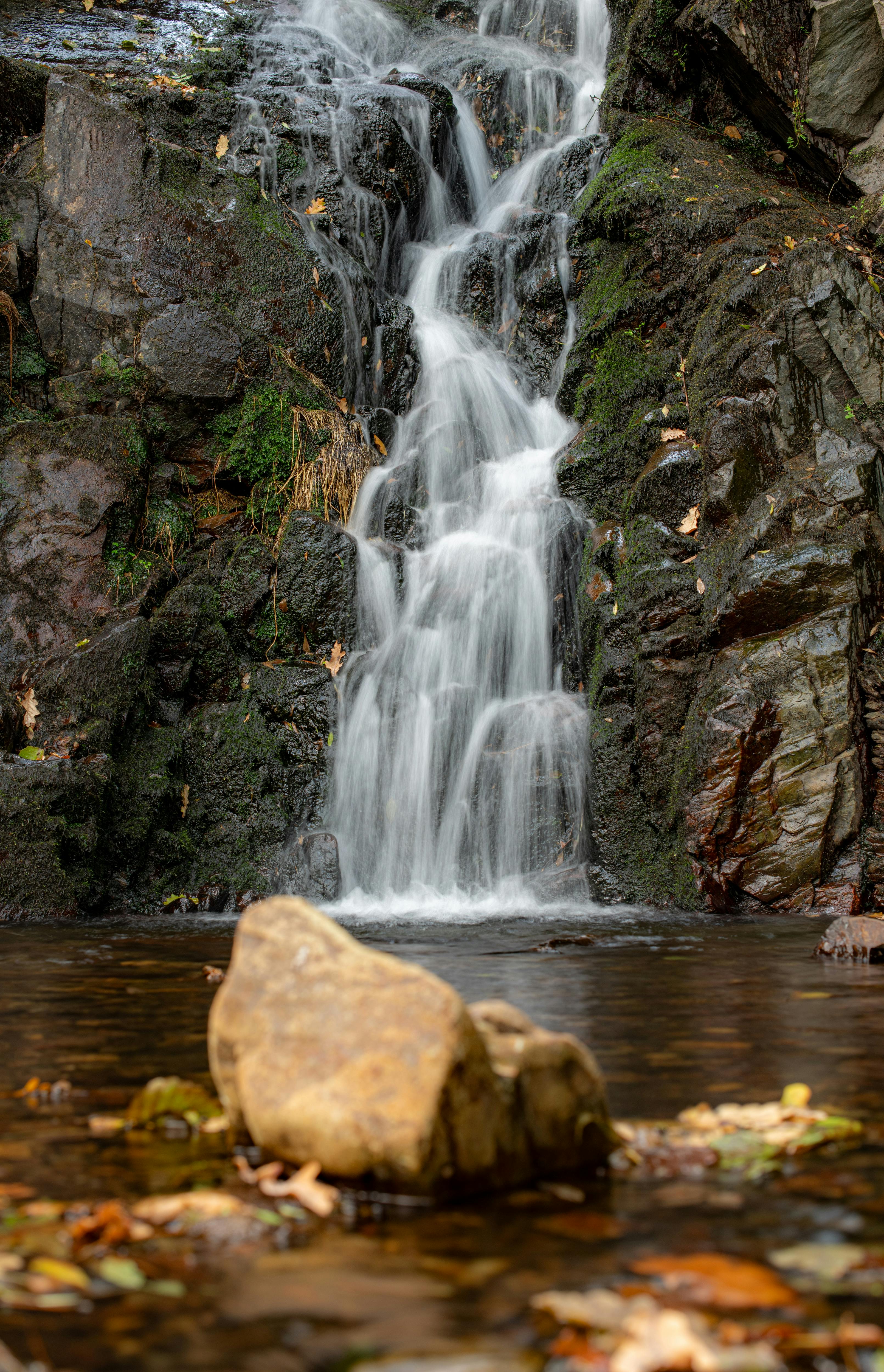 8d Wallpapers Photos, Download The BEST Free 8d Wallpapers Stock Photos ...