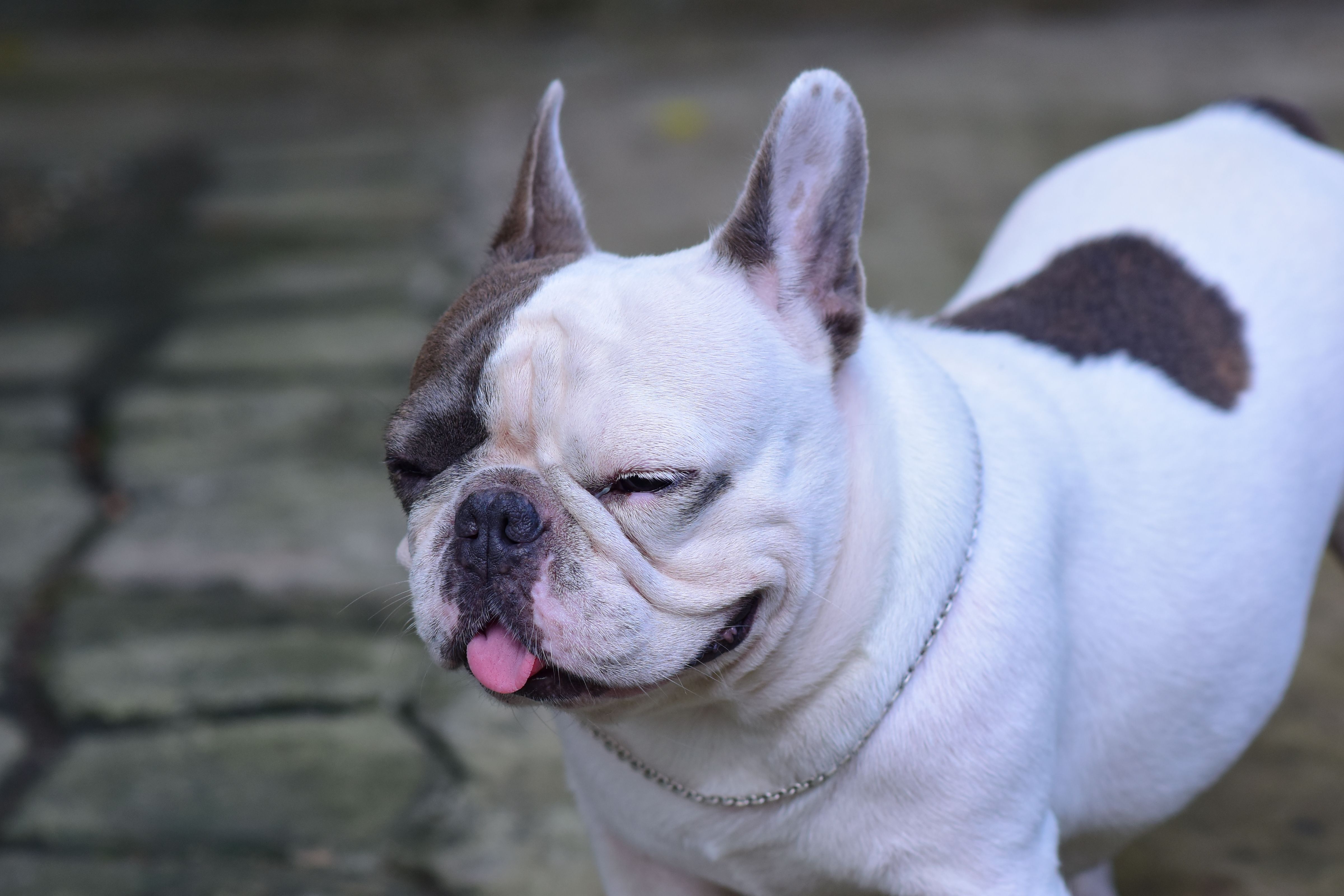Welcome Funny Photos, Download The BEST Free Welcome Funny Stock Photos ...