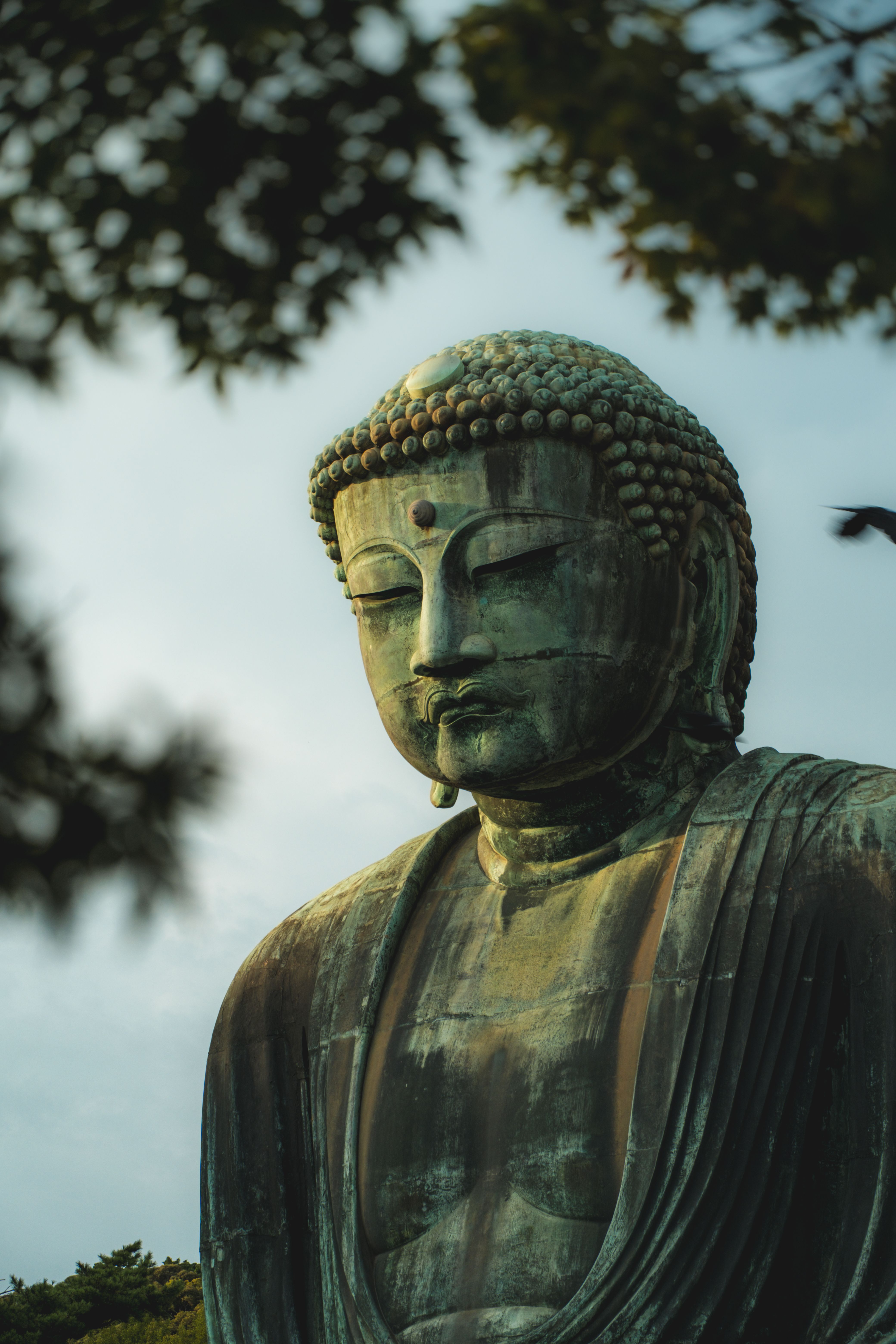 Buddha 8k Wallpaper Photos, Download The BEST Free Buddha 8k Wallpaper ...
