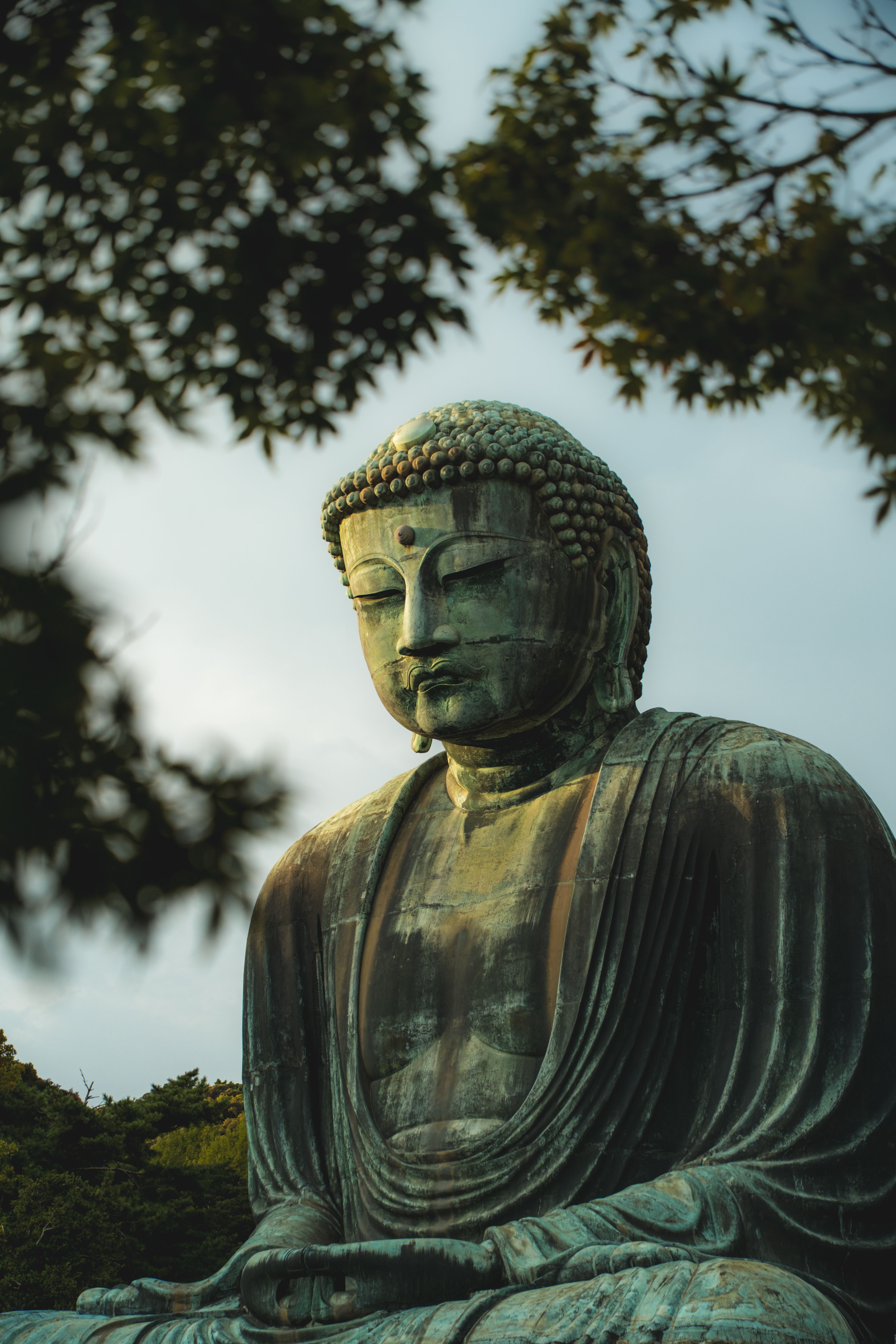 Gautam Buddha 4k Wallpaper Photos, Download The BEST Free Gautam Buddha ...