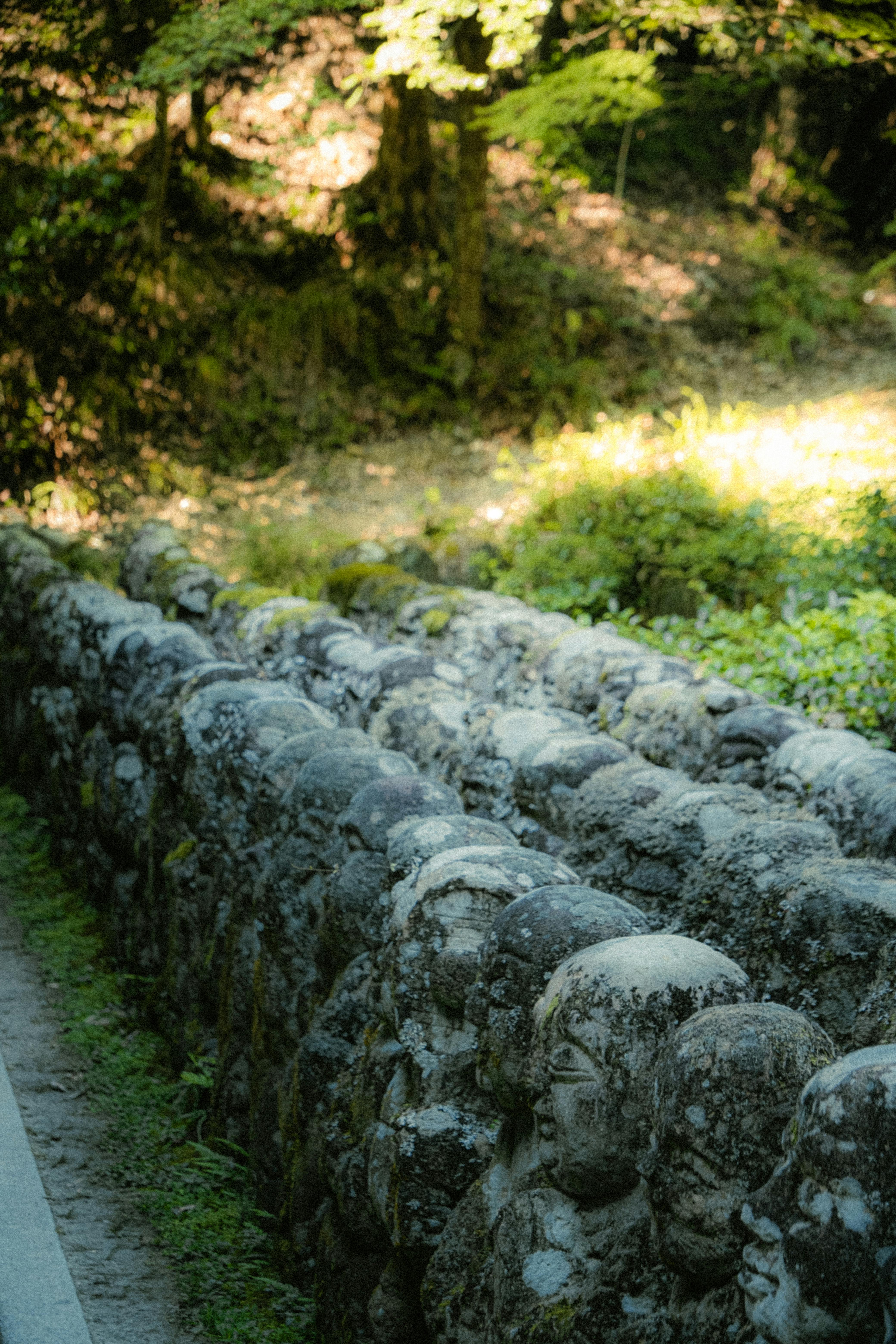 Alignment Photos, Download The BEST Free Alignment Stock Photos & HD Images