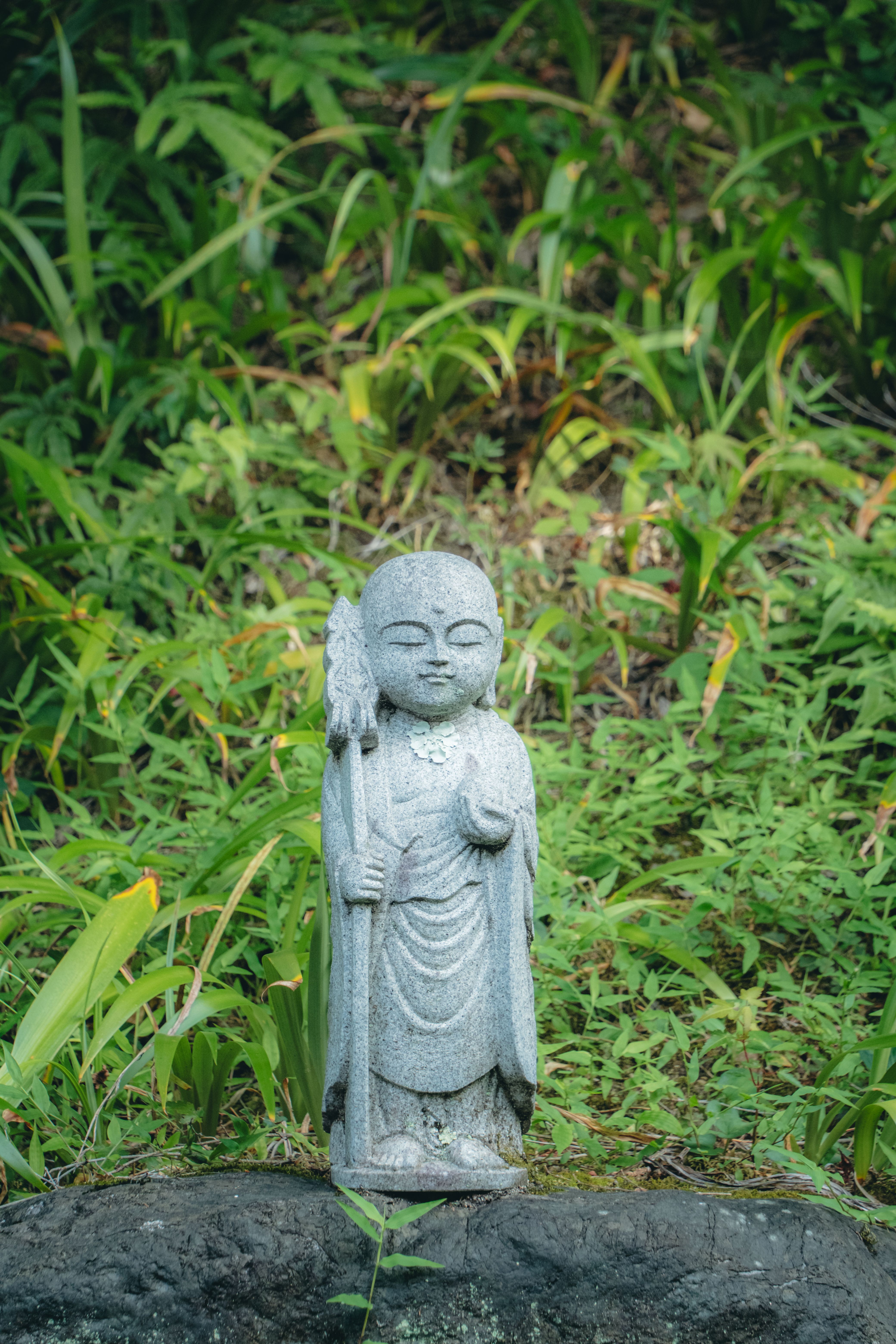 Peaceful Buddha statue amidst lush greenery outdoors · Free Stock Photo