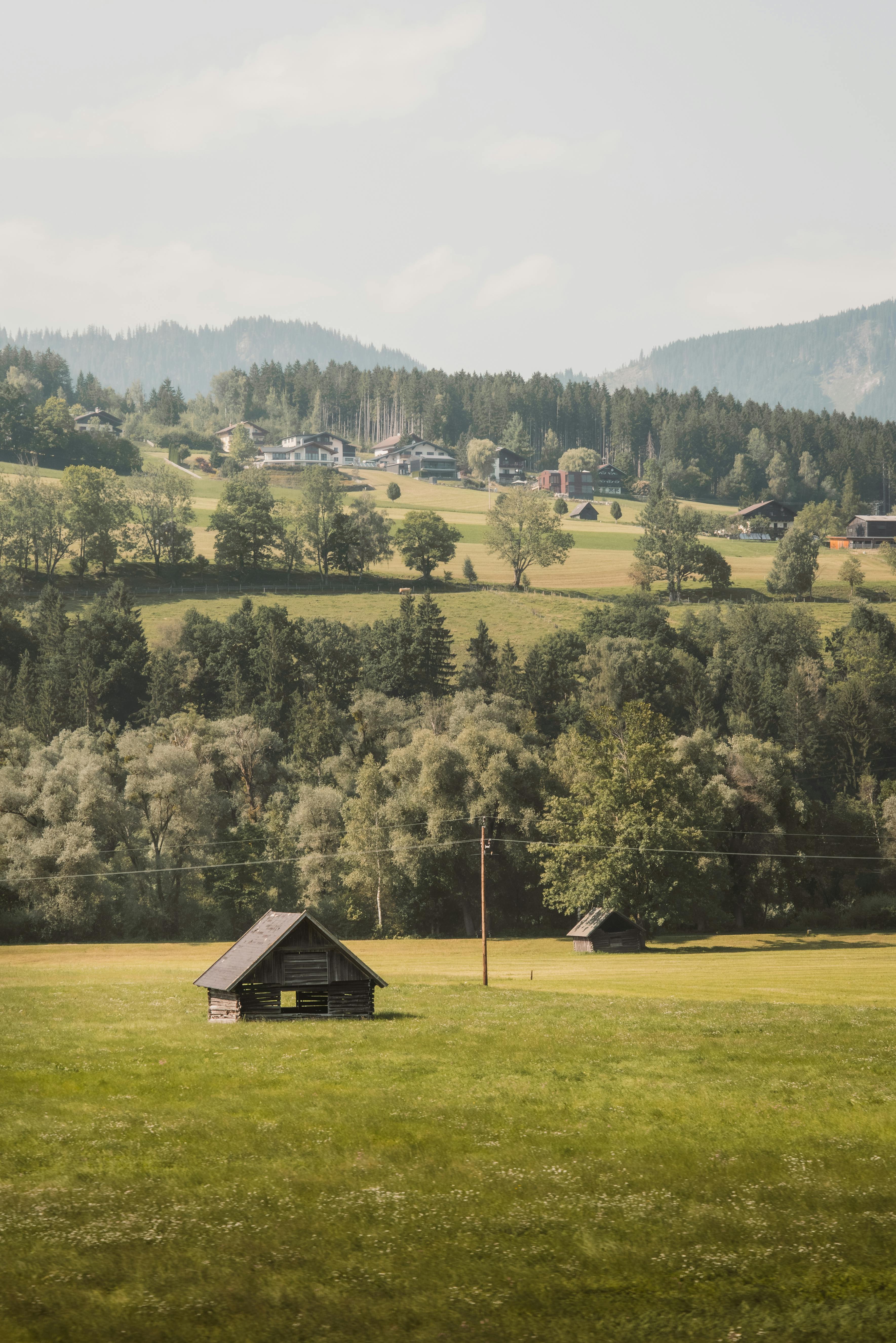 Everyone+Pointing+At+Wallpaper+Meme Photos, Download The BEST Free ...