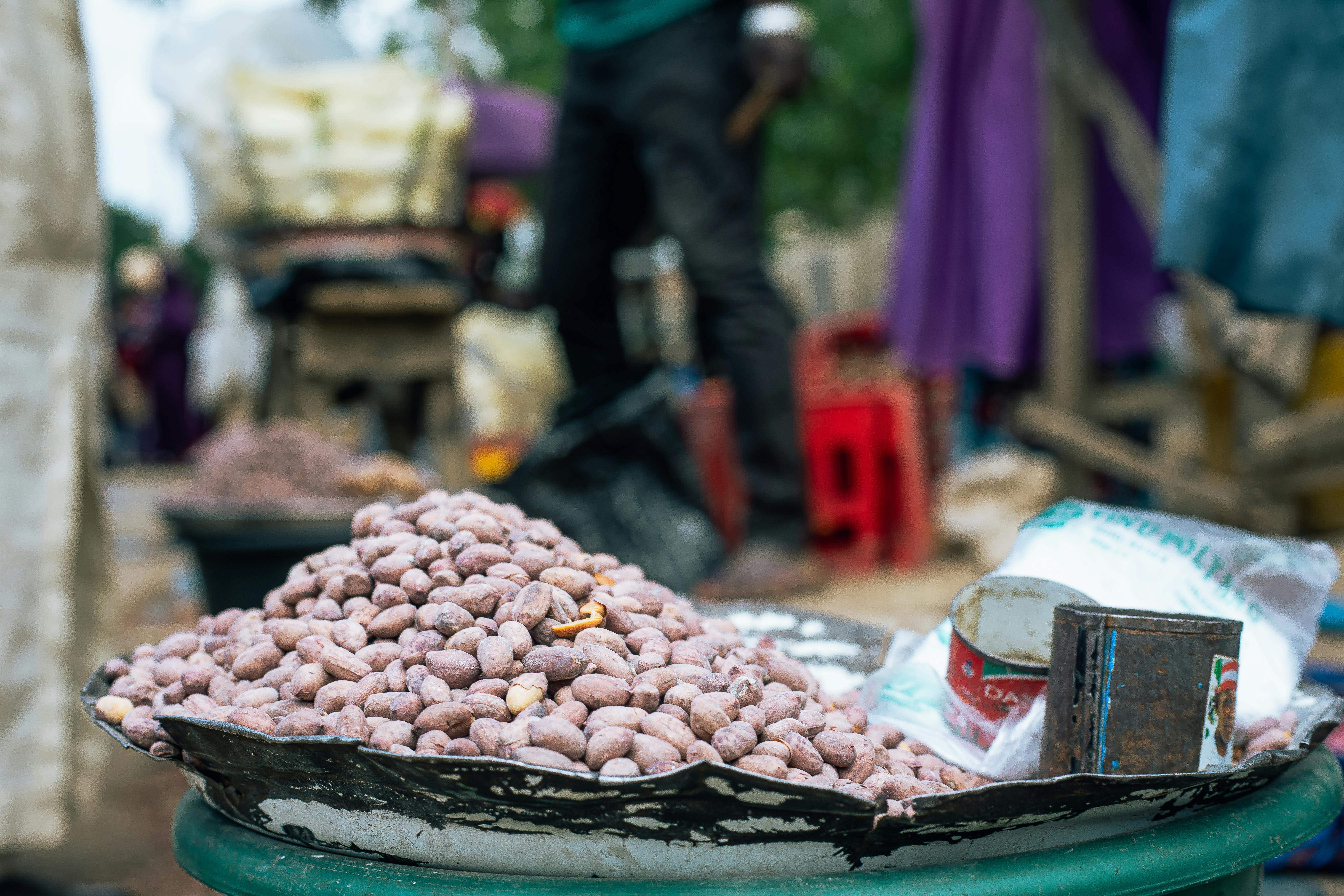 Peanuts Snoopy Photos, Download The BEST Free Peanuts Snoopy Stock ...