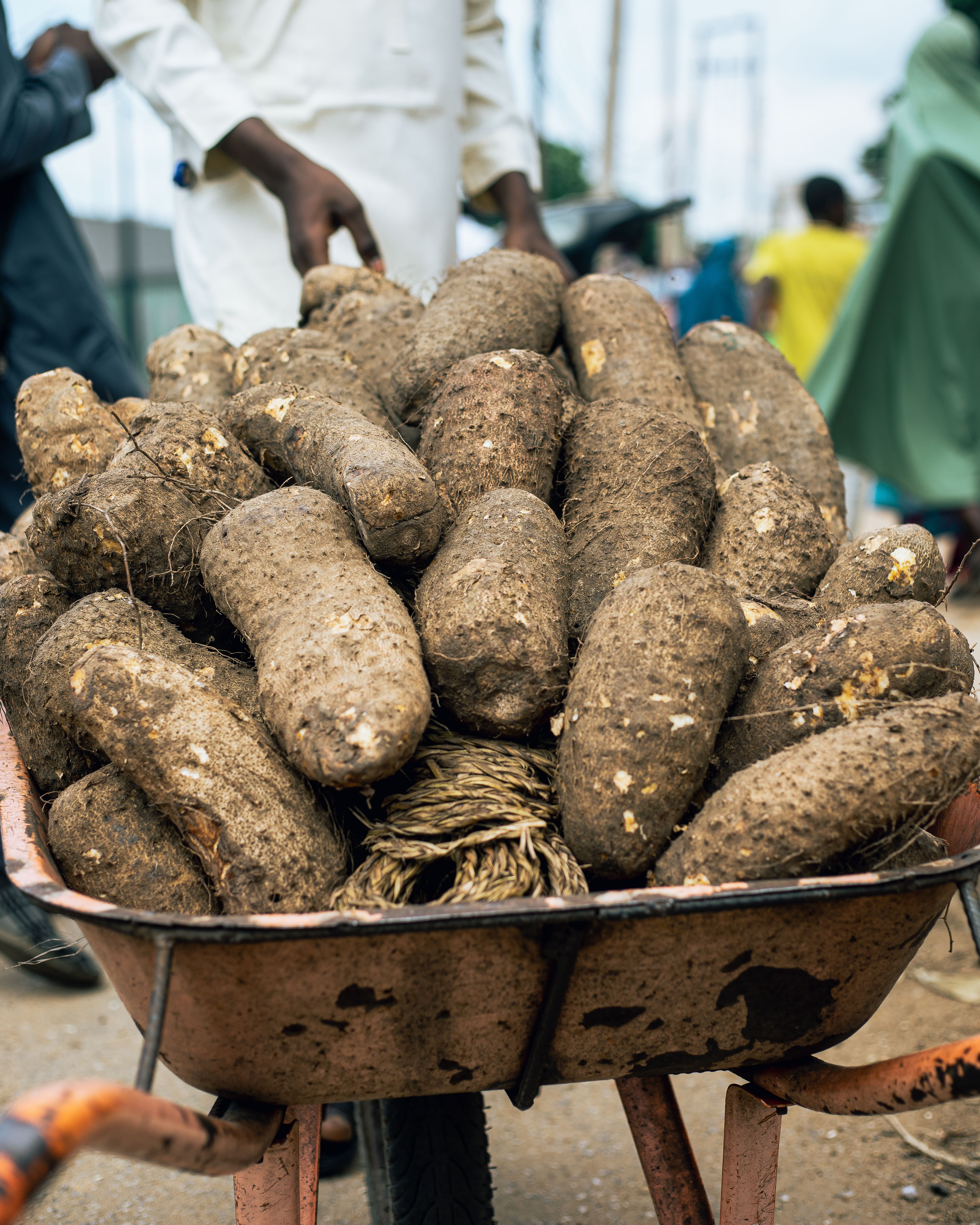Yam Photos, Download The BEST Free Yam Stock Photos & HD Images