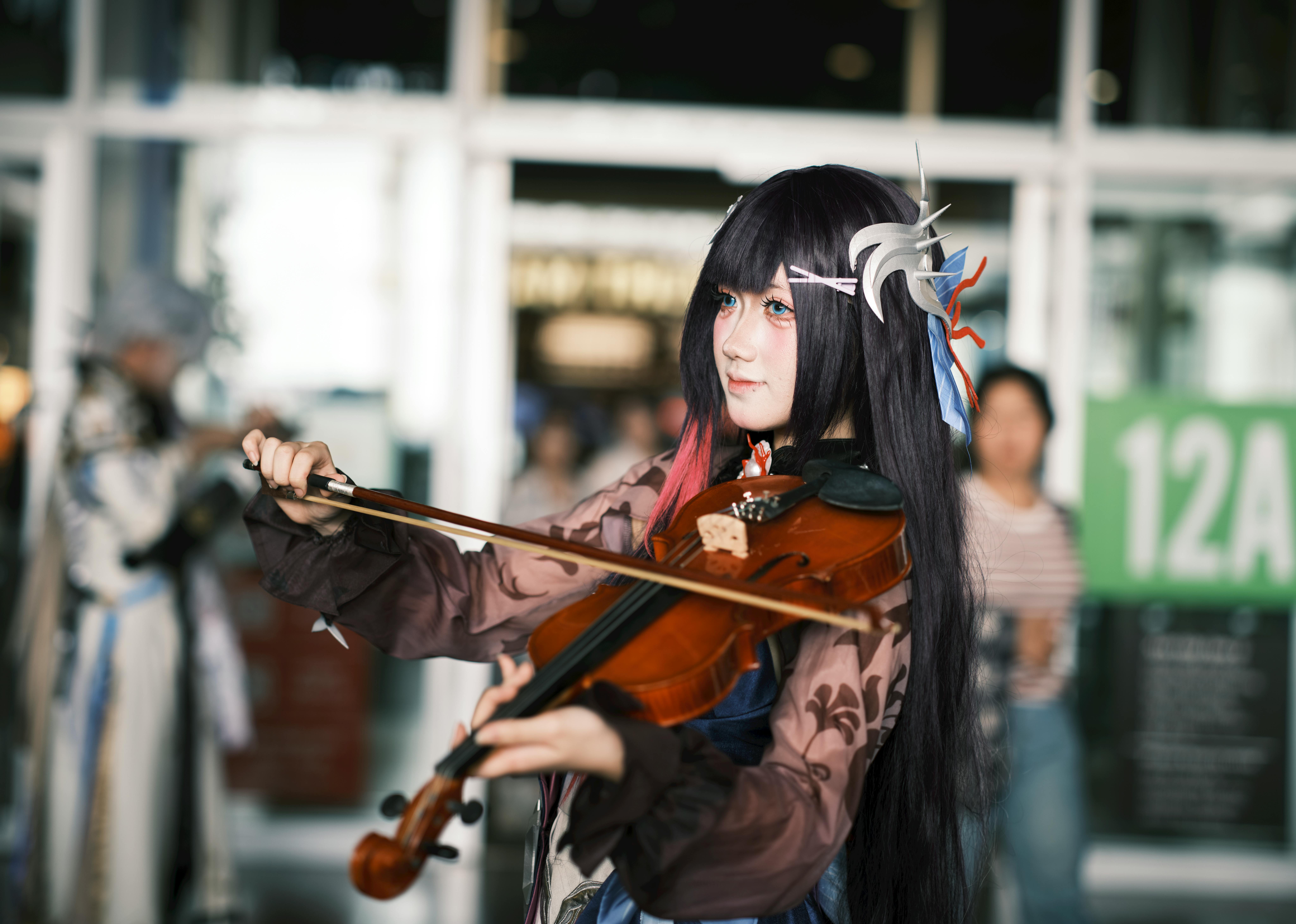 Violin Images Photos, Download The BEST Free Violin Images Stock Photos ...