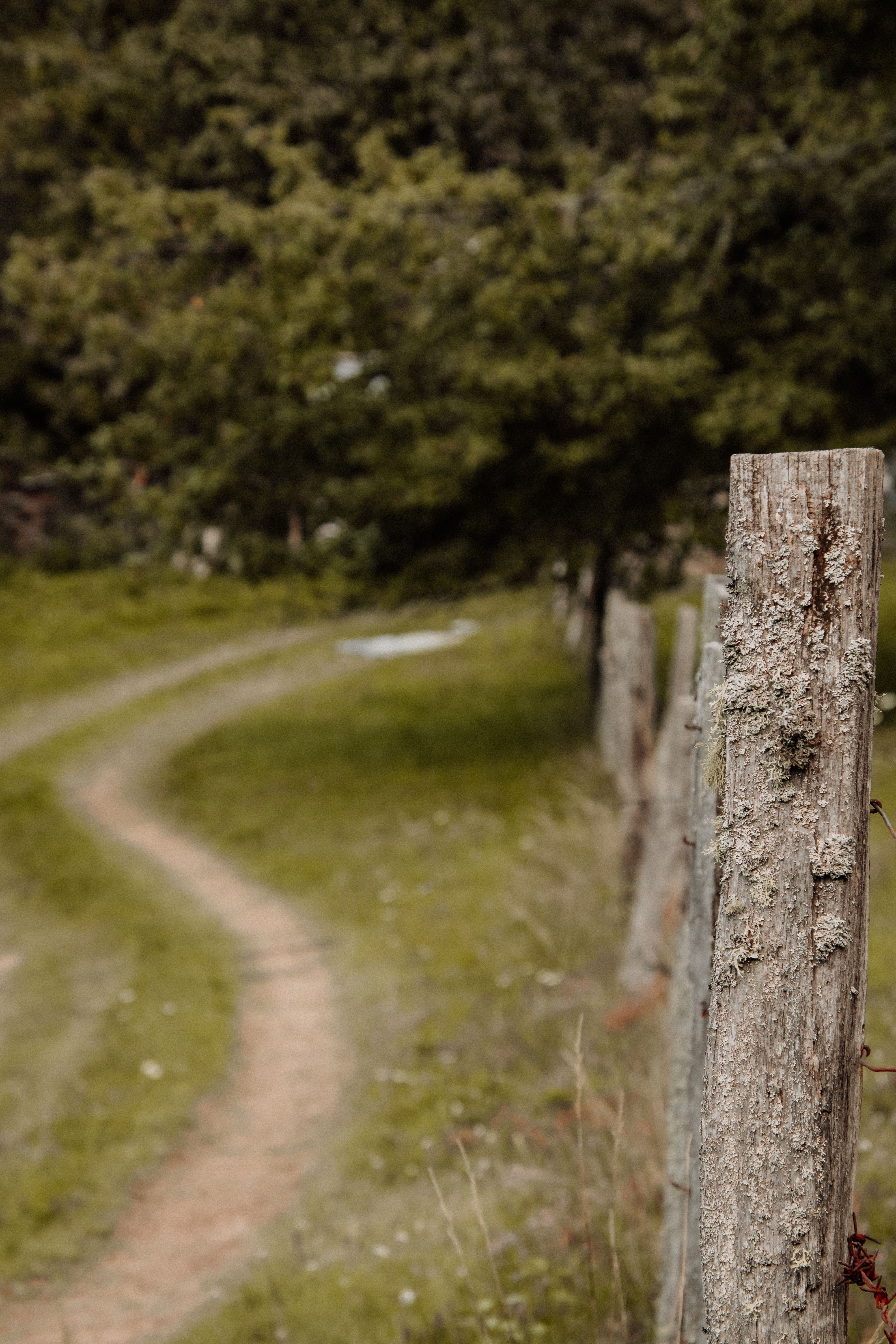 Rustic Pathway in Čajniče Countryside · Free Stock Photo