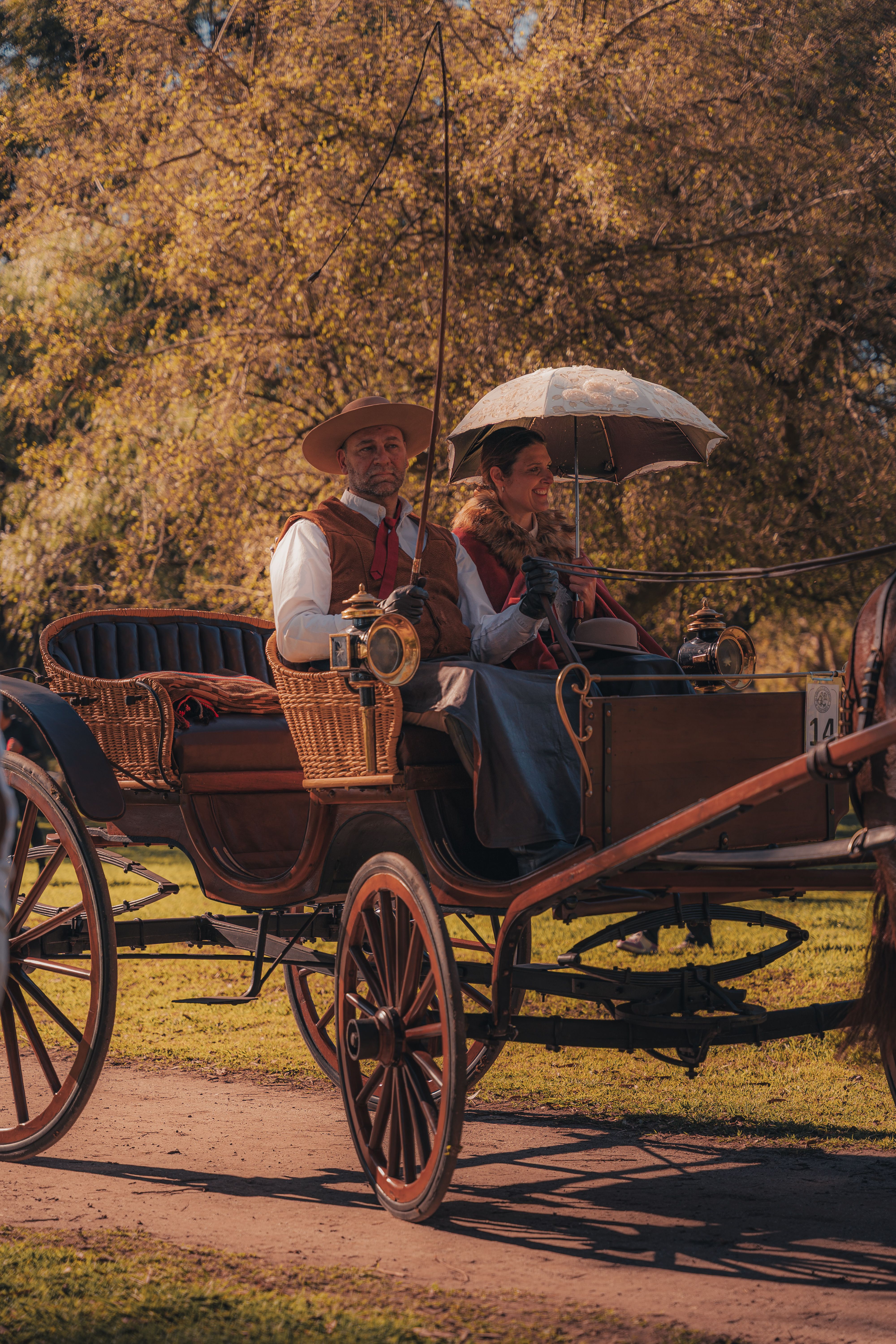 Romantic Horse-Drawn Carriage Ride in Autumn · Free Stock Photo