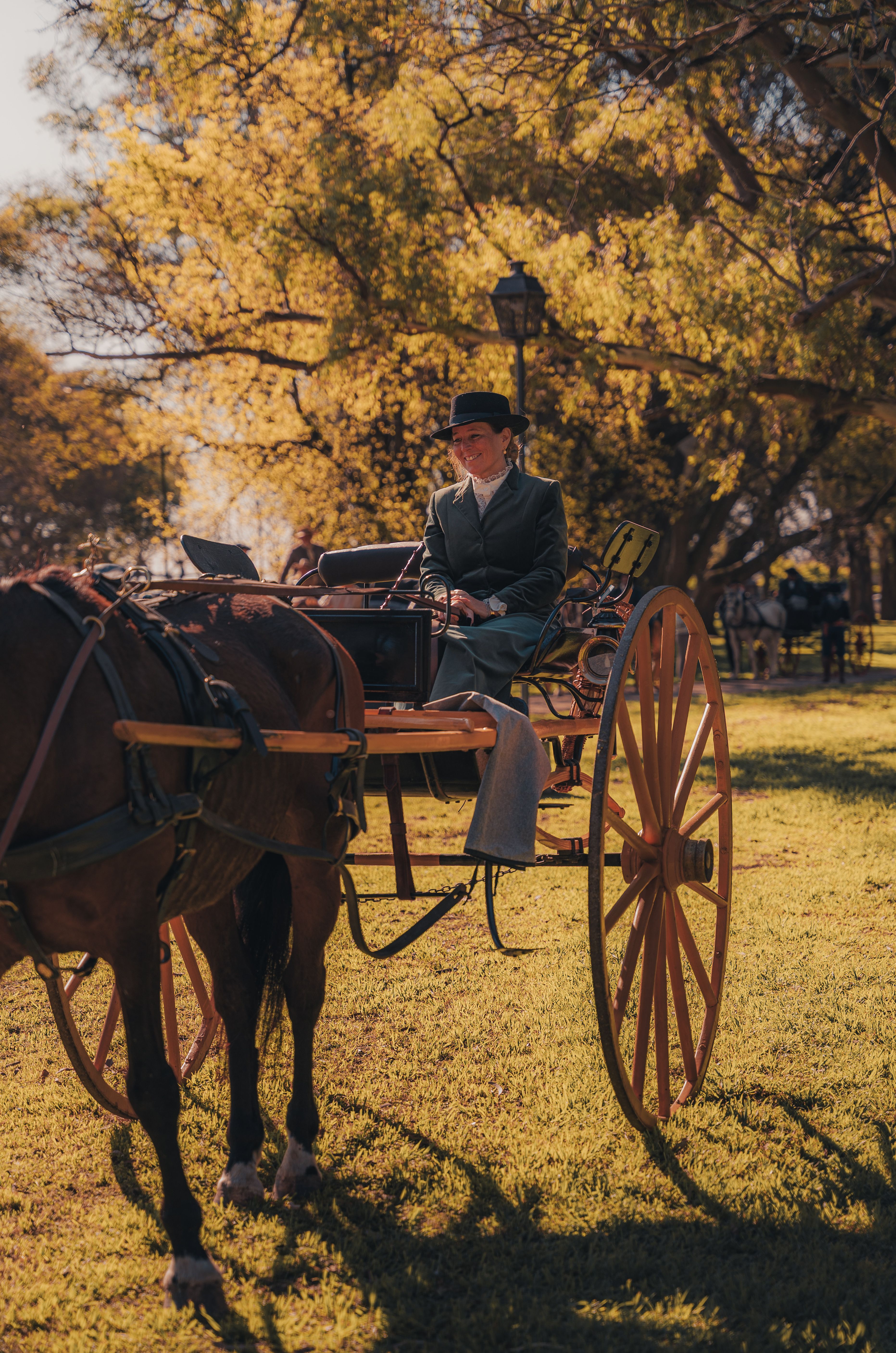 Traditional Horse-Drawn Carriage Ride in Autumn Park · Free Stock Photo