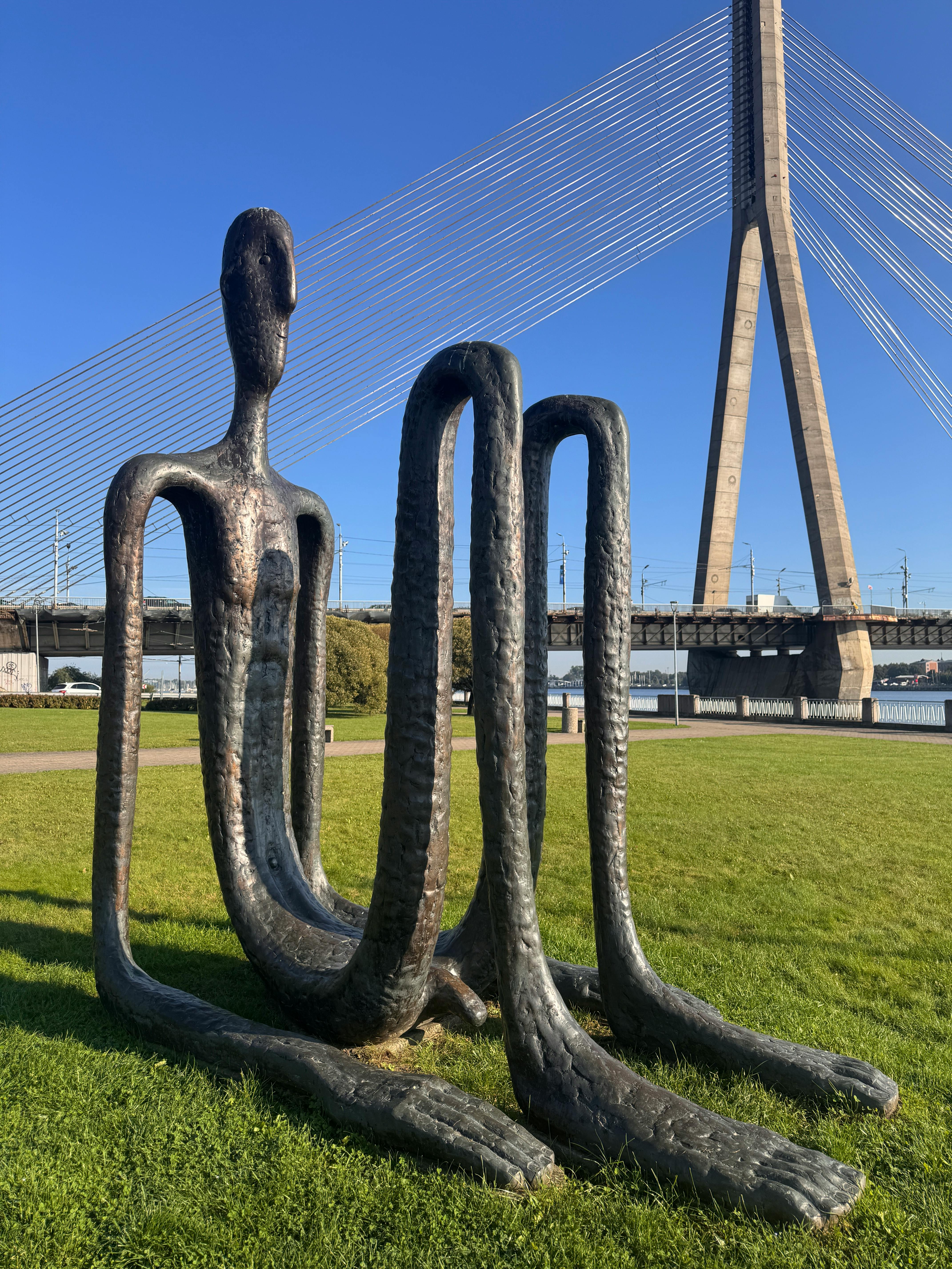 30 000+ Coq+nue banque d’images et photos libres de droit · Téléchargement gratuit · Photos Pexels