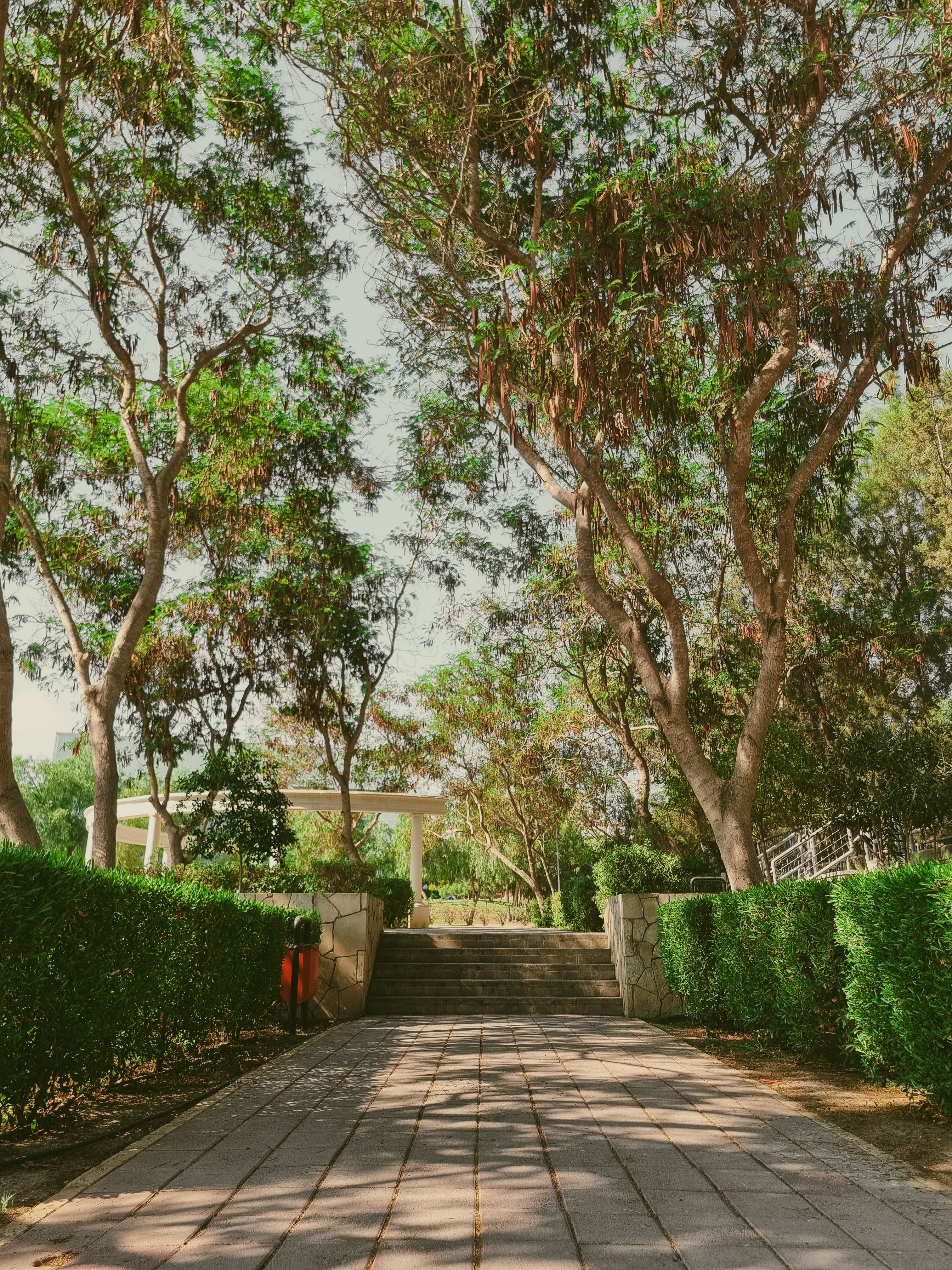 Serene Outdoor Garden Pathway with Lush Greenery · Free Stock Photo