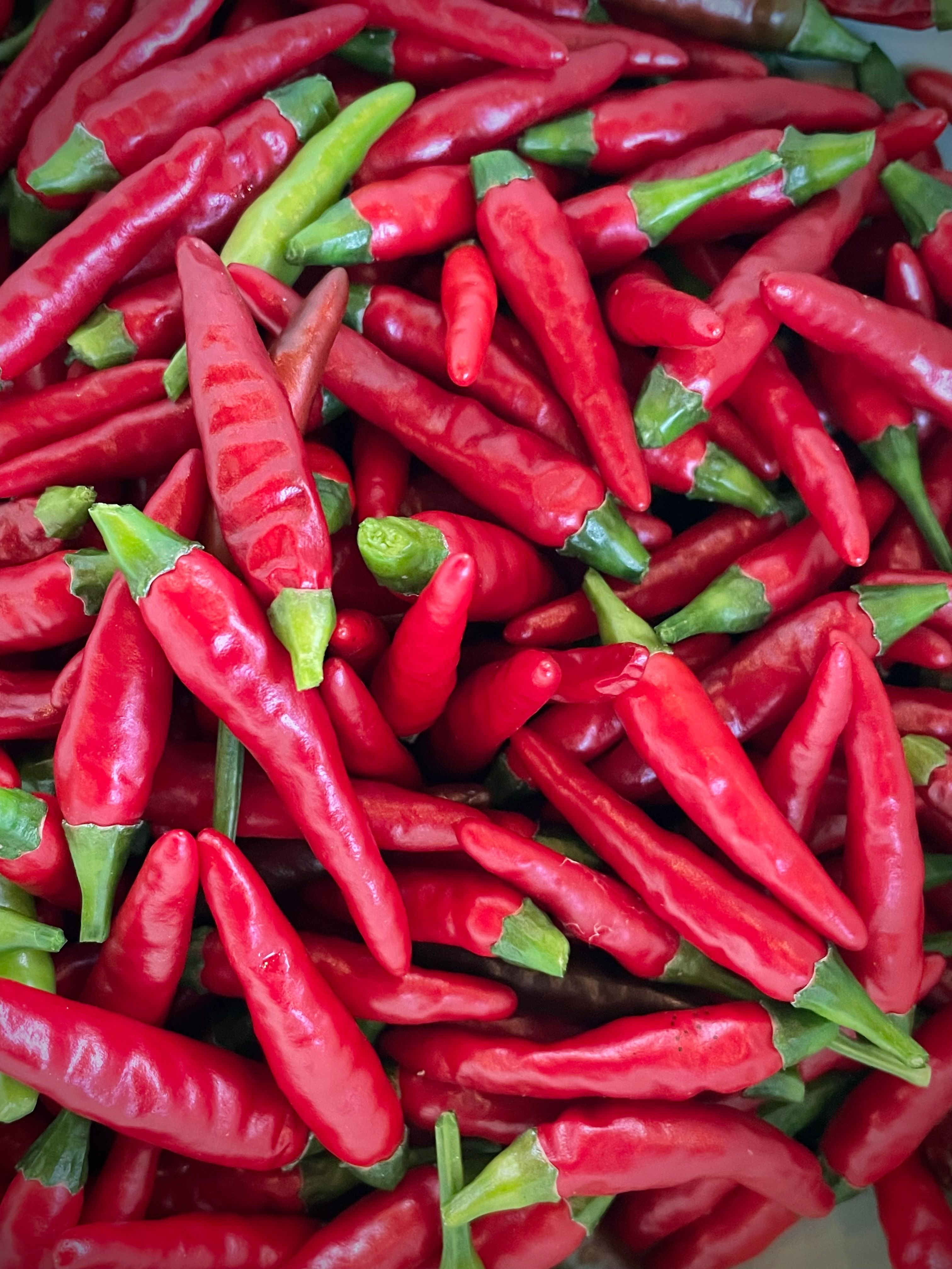 Overhead Shot Chili Peppers · Free Stock Photo