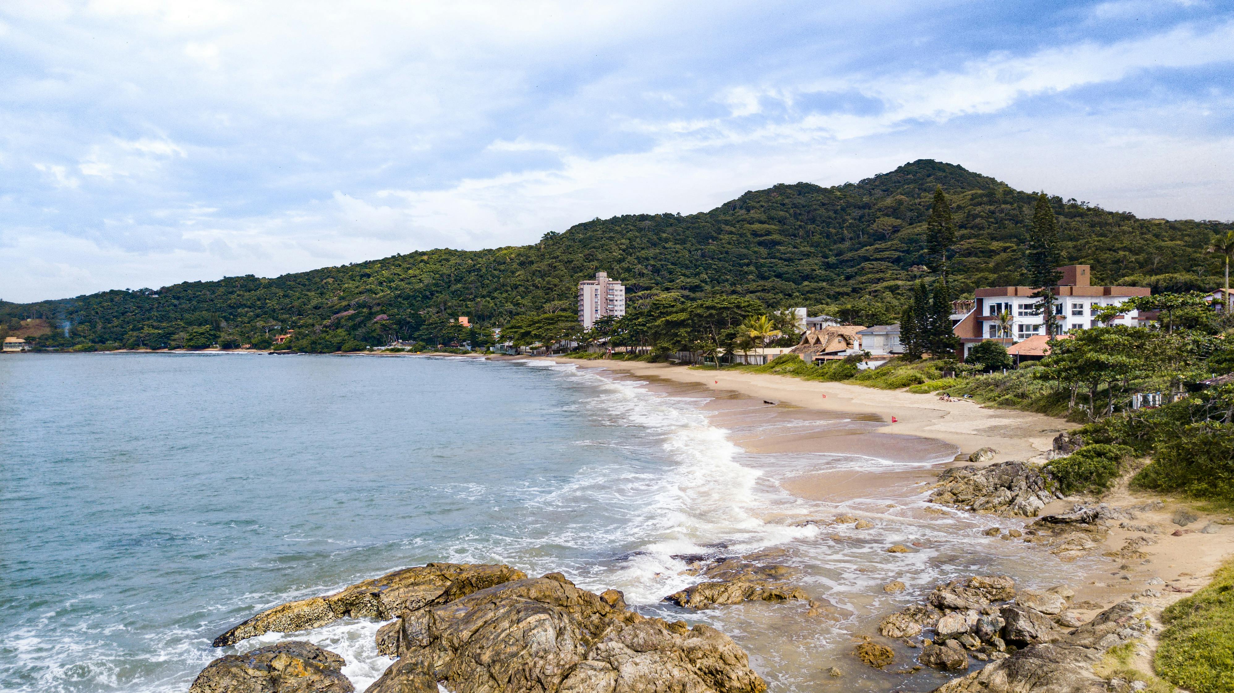 Everyone+Pointing+At+Wallpaper+Meme Photos, Download The BEST Free ...