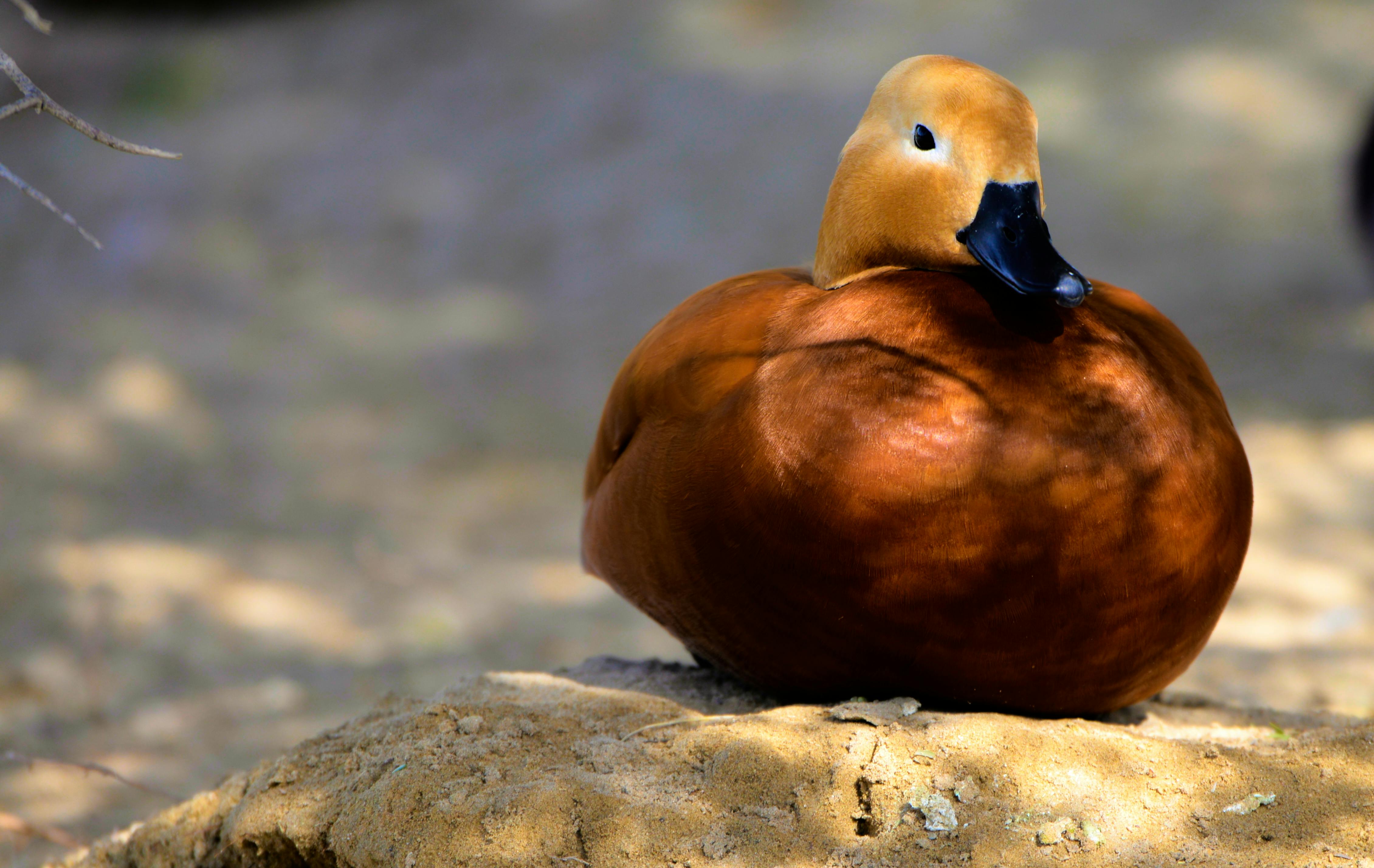 Imx+Untitled+Galleries Photos, Download The BEST Free Imx+Untitled ...