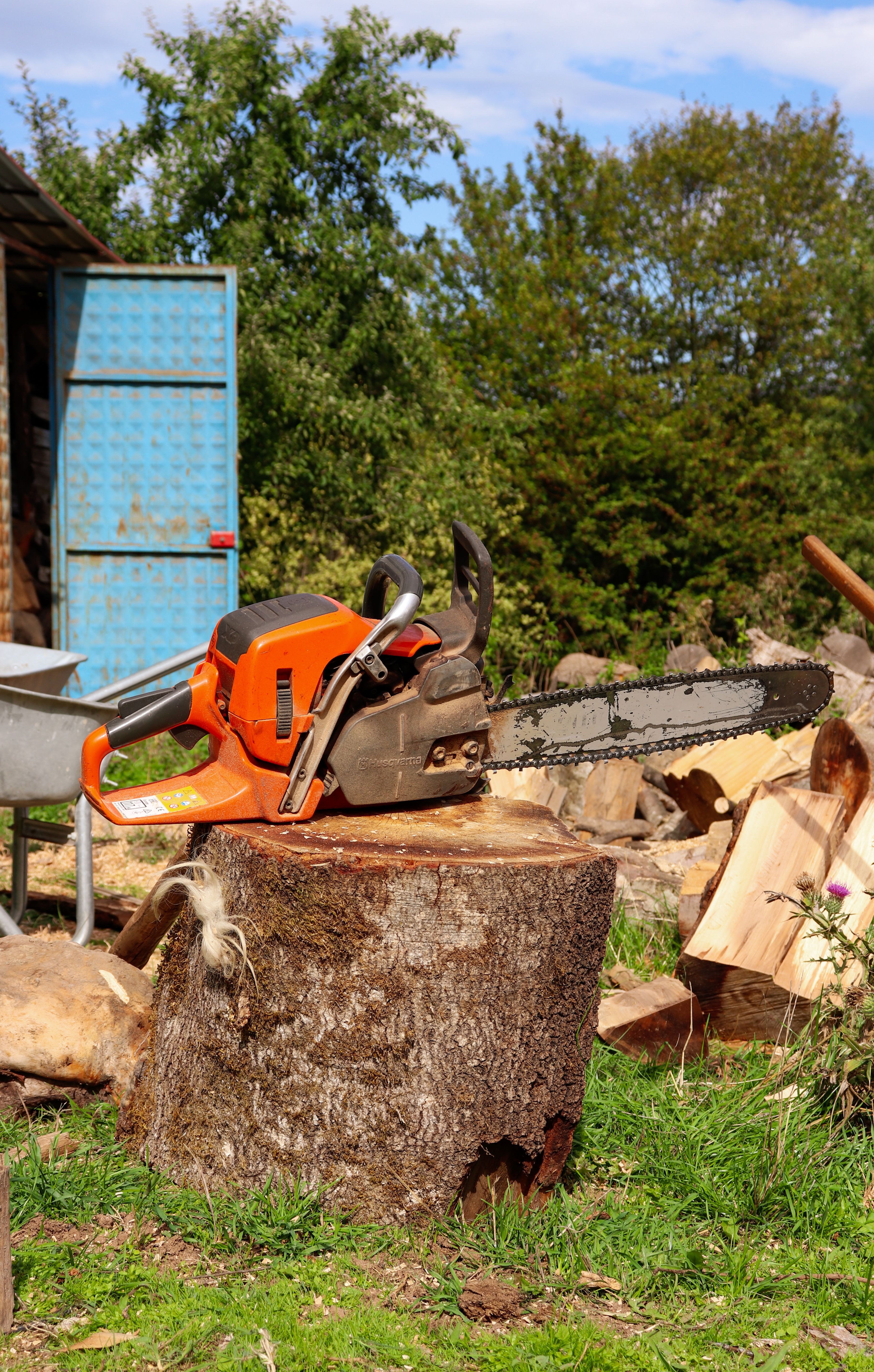 Chainsaw on Tree Stump in Outdoor Workshop Setting · Free Stock Photo