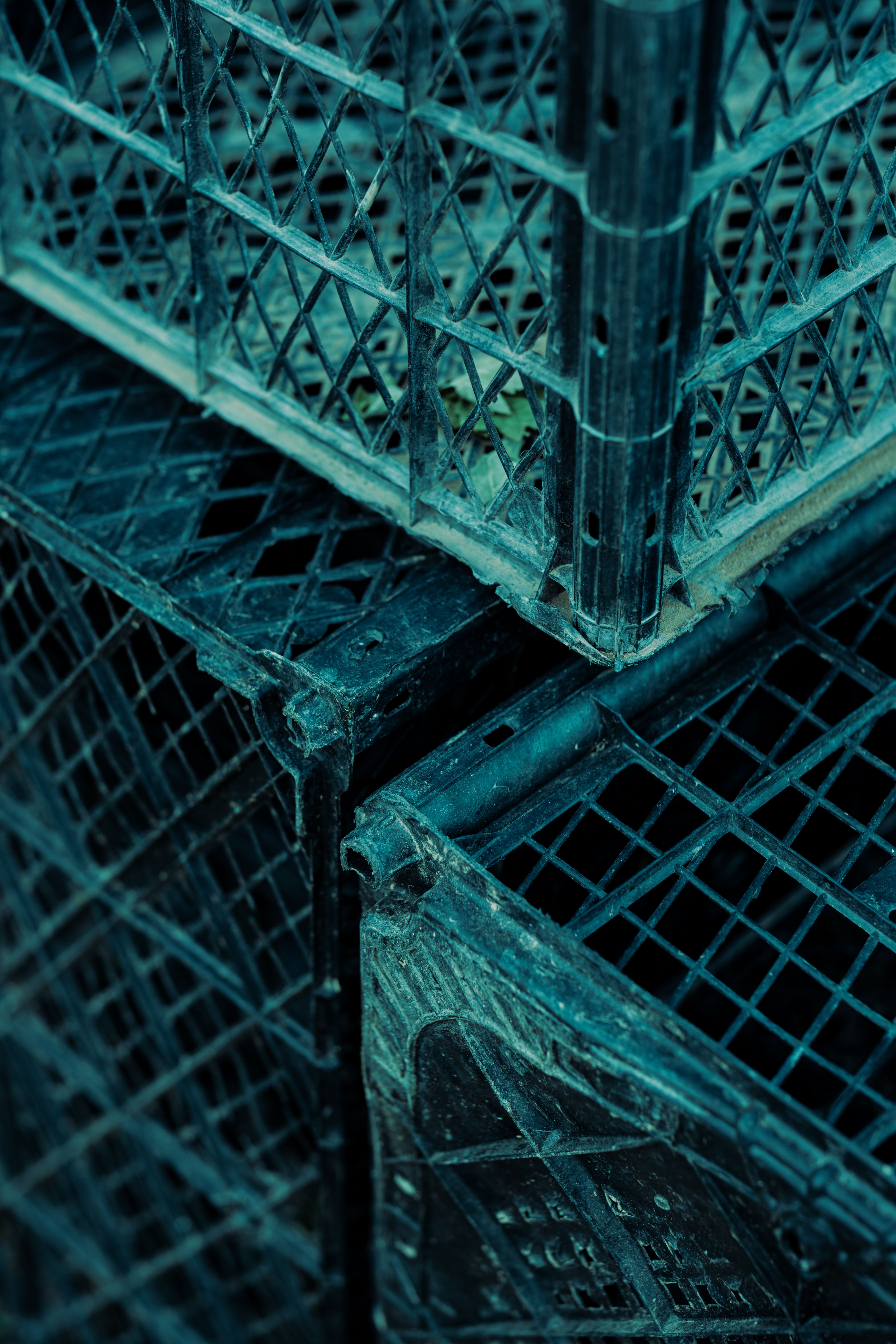 2480 X 3508 Photos, Download The BEST Free 2480 X 3508 Stock Photos ...
