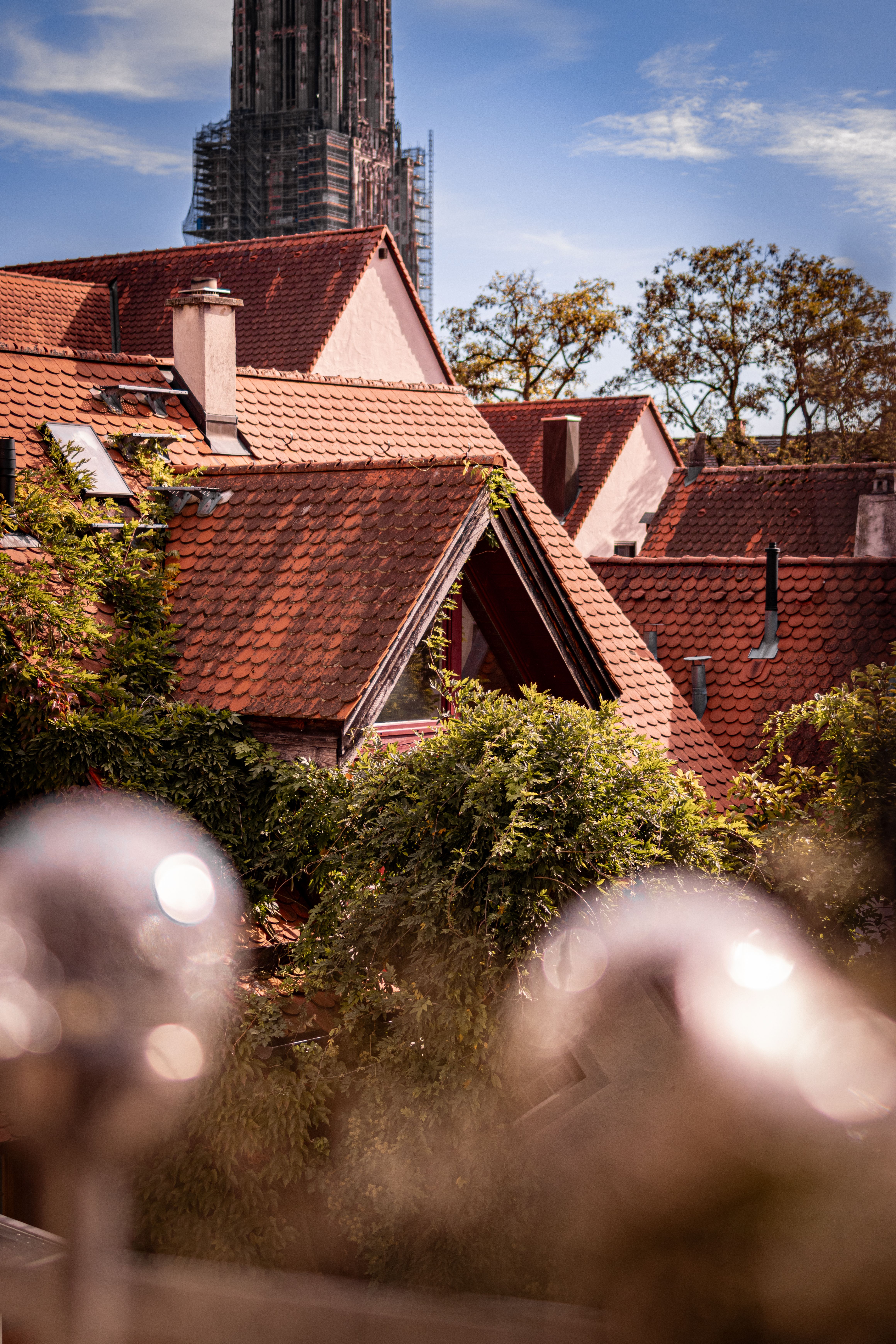 Charming Rooftops with Gothic Cathedral Backdrop · Free Stock Photo