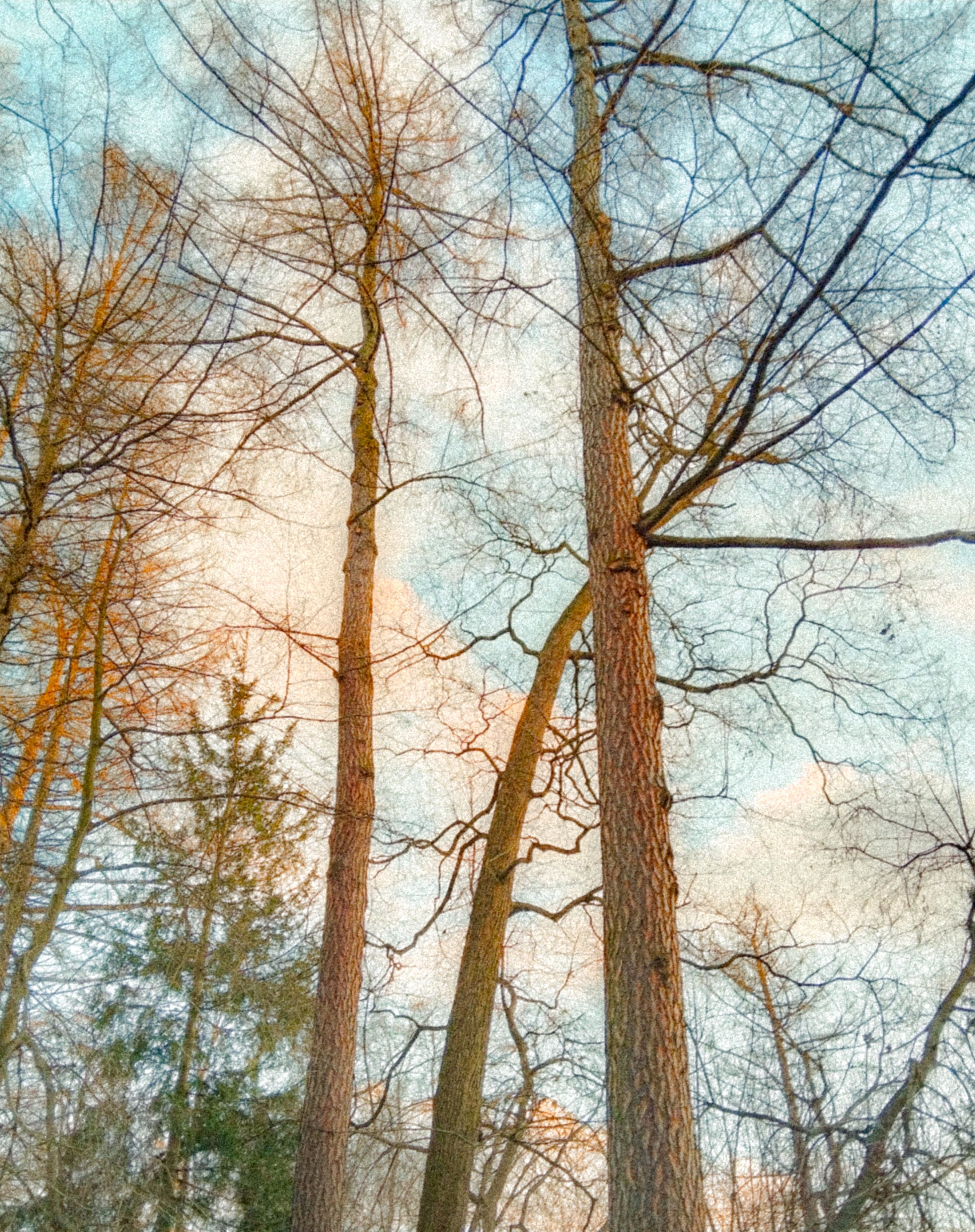Outdoor Scenery Photos, Download The BEST Free Outdoor Scenery Stock ...