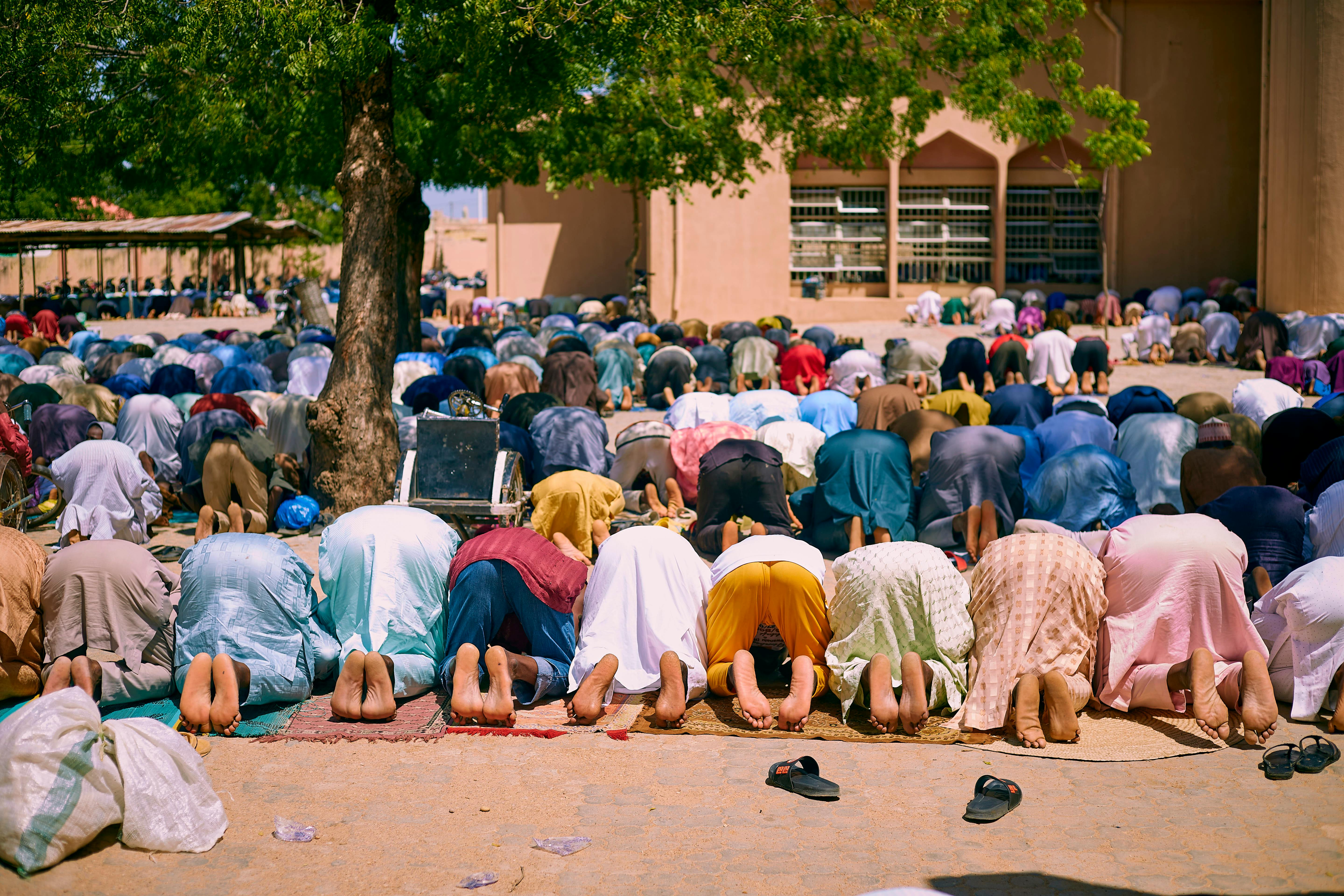 Humility Photos, Download The BEST Free Humility Stock Photos & HD Images