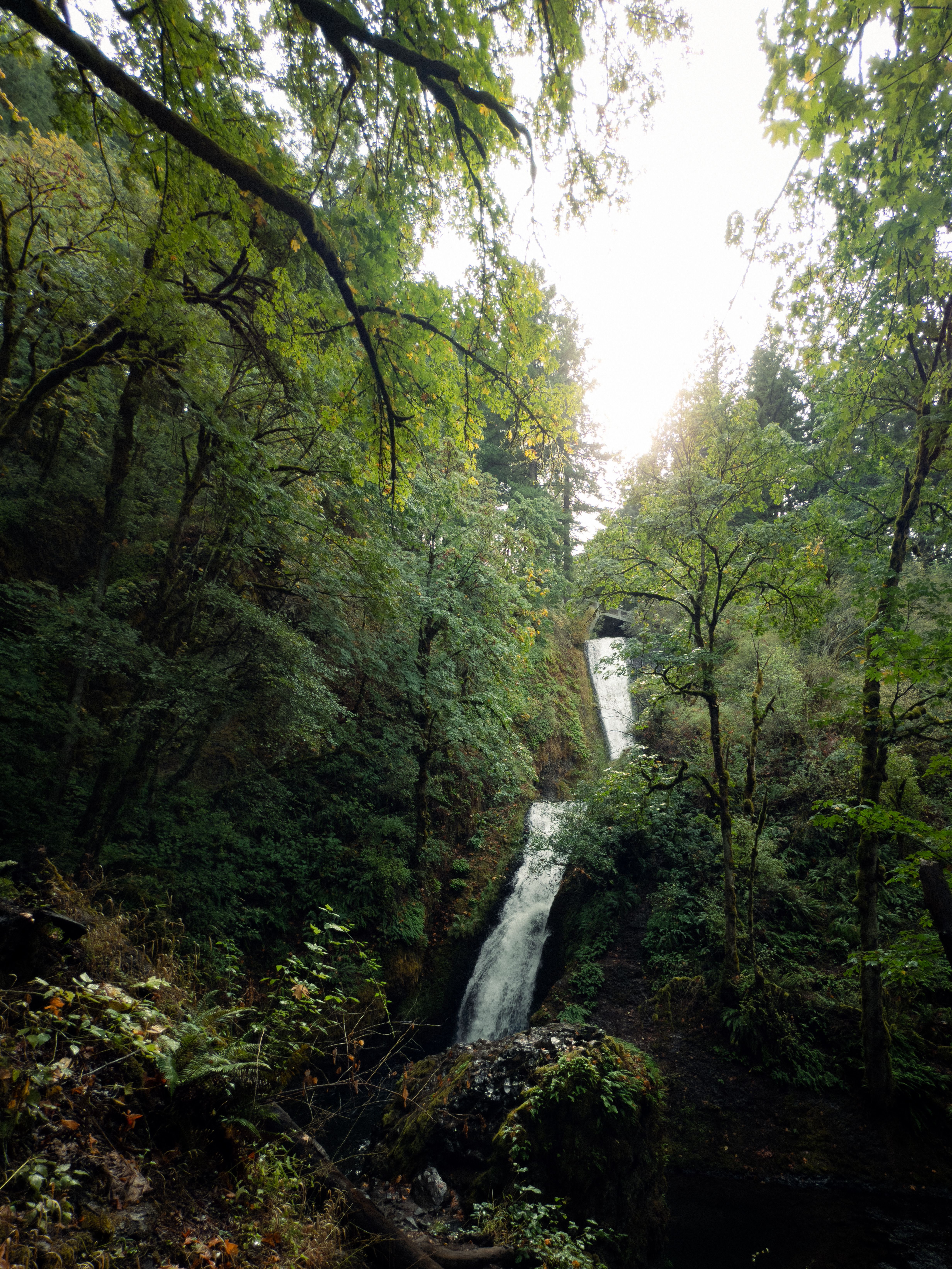 Waterfall on Cliff With Trees during Fall · Free Stock Photo